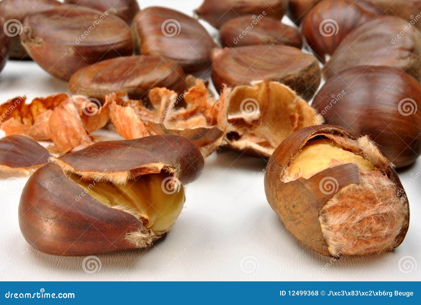 Organic sweet chestnut stock photo. Image of chestnut - 12499368