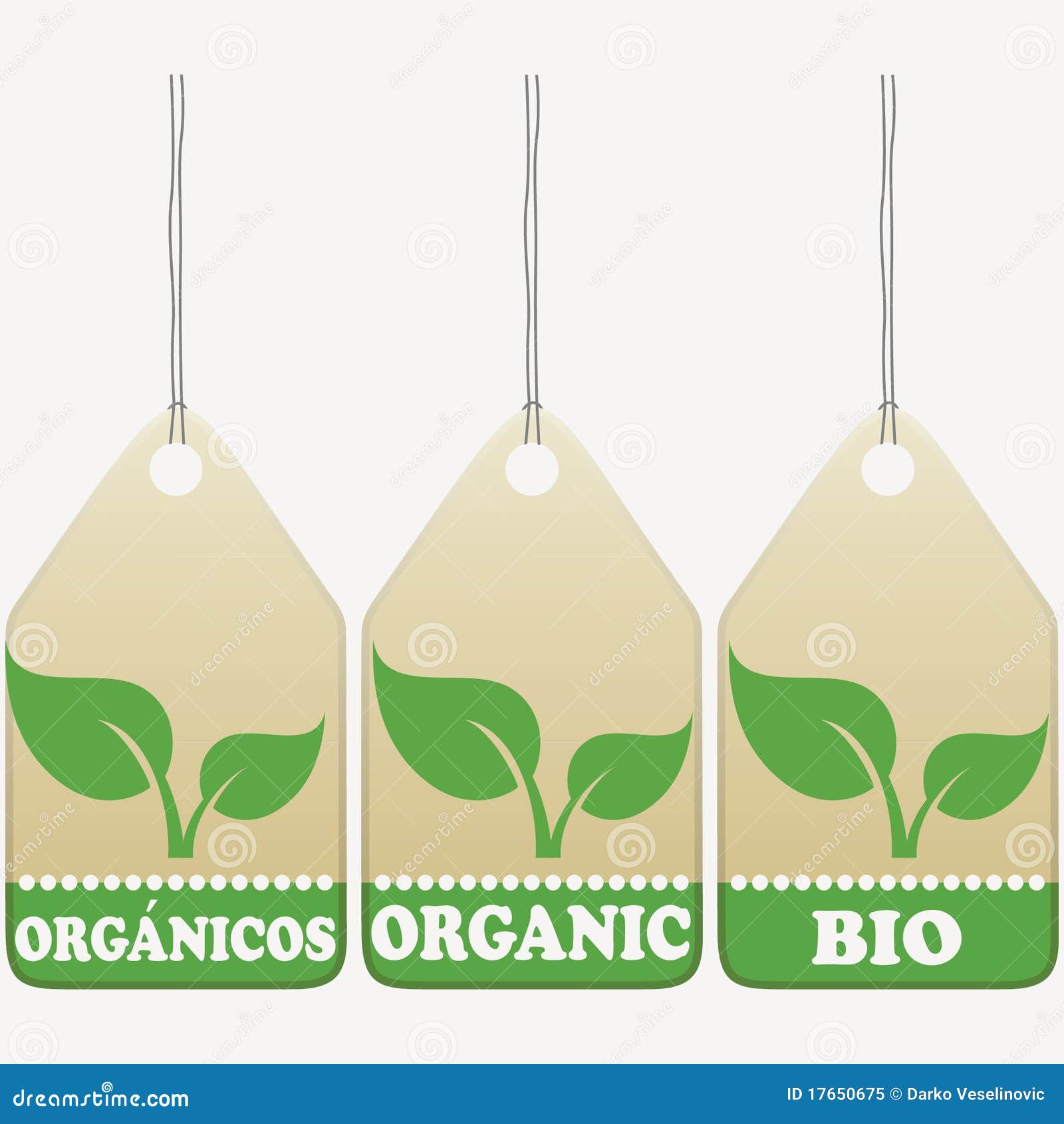 Eco Organic Tags. Vector Set Of Floral Craft Labels | CartoonDealer.com ...
