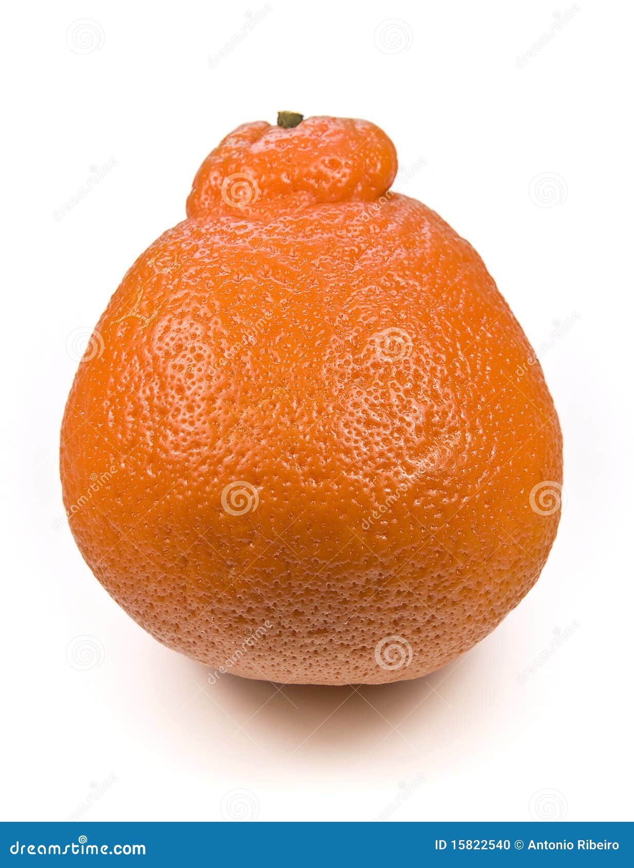 Organic Tangelo stock photo. Image of food, closeup, fresh - 15822540