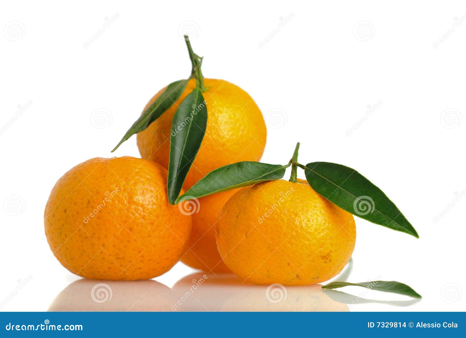 Organic Tangerines stock photo. Image of saturated, reflection - 7329814