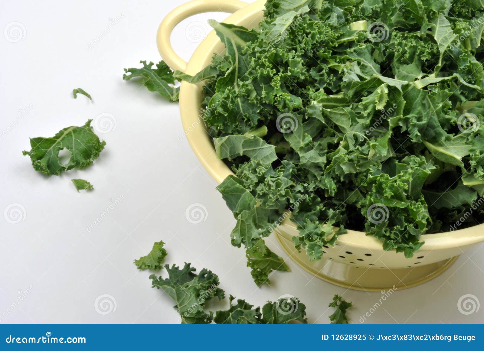 Organic Tender Leaf Curly Kale Stock Image - Image of freshness, food ...