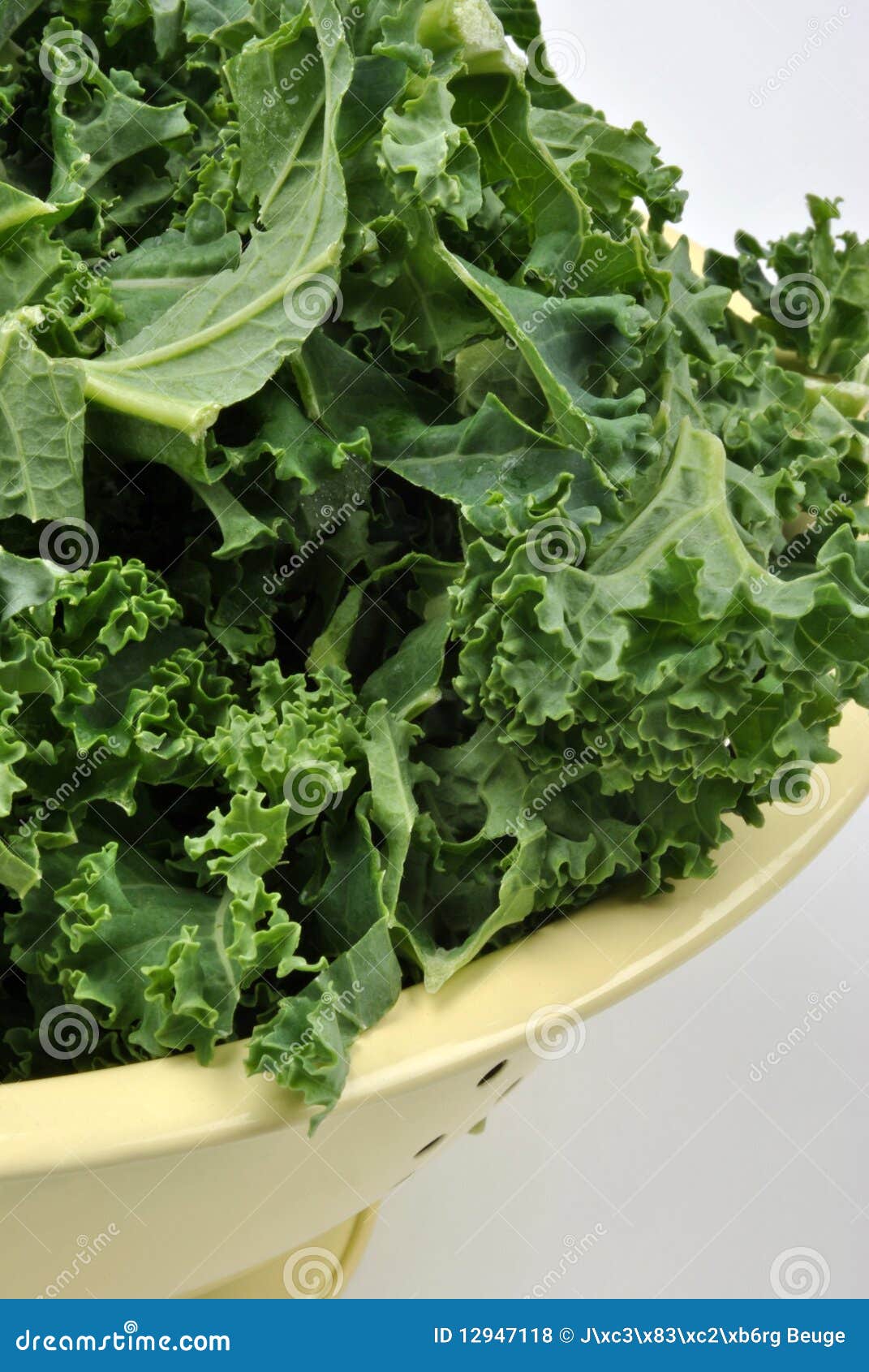 Organic Tender Leaf Curly Kale Stock Photo - Image of fine, healthy ...