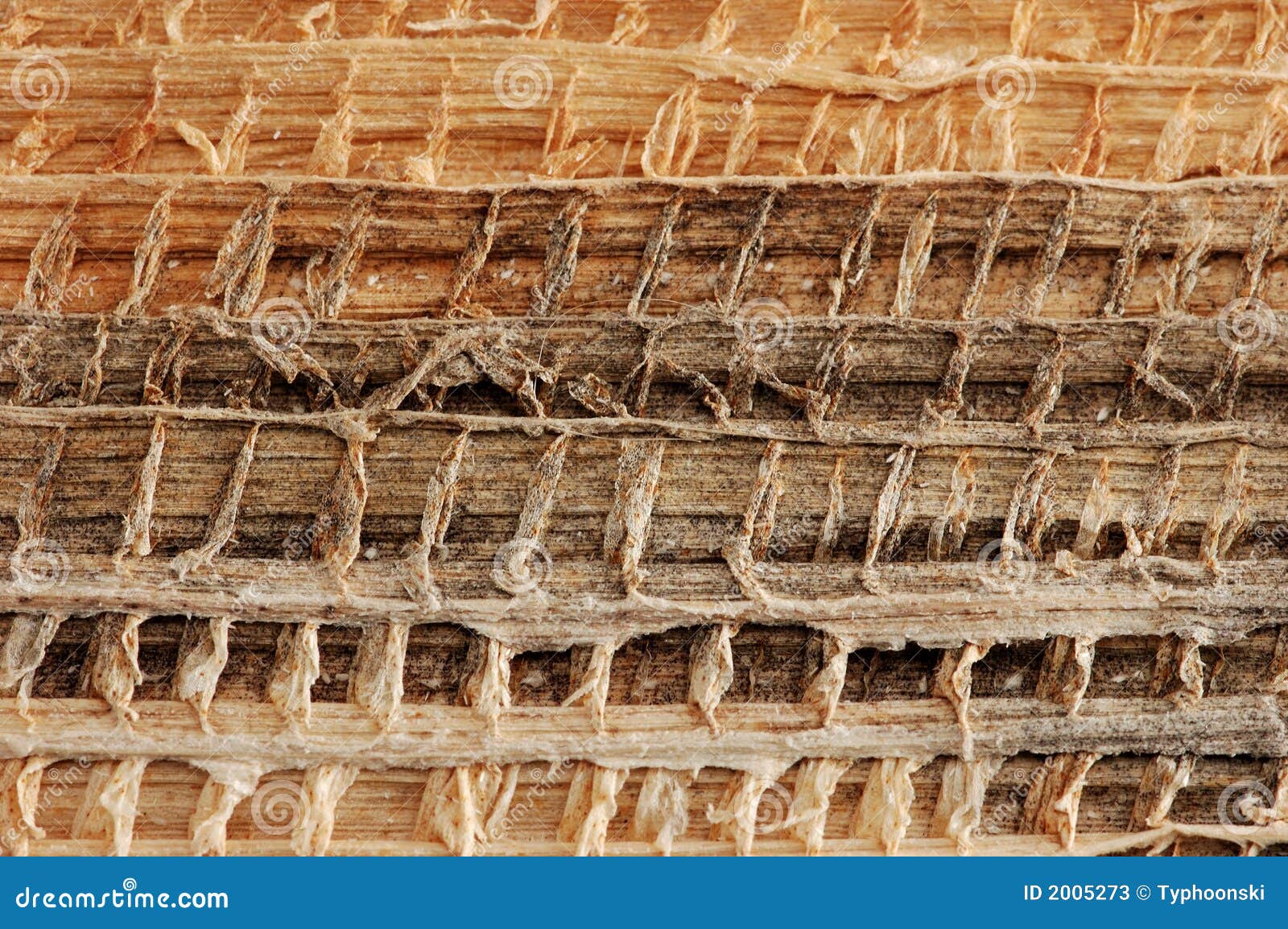 Organic Texture stock image. Image of exotic, close, texture - 2005273