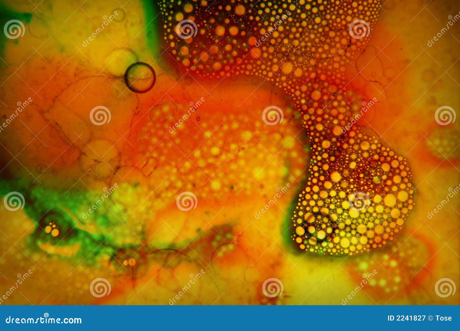 Organic texture stock image. Image of cell, nature, grunge - 2241827