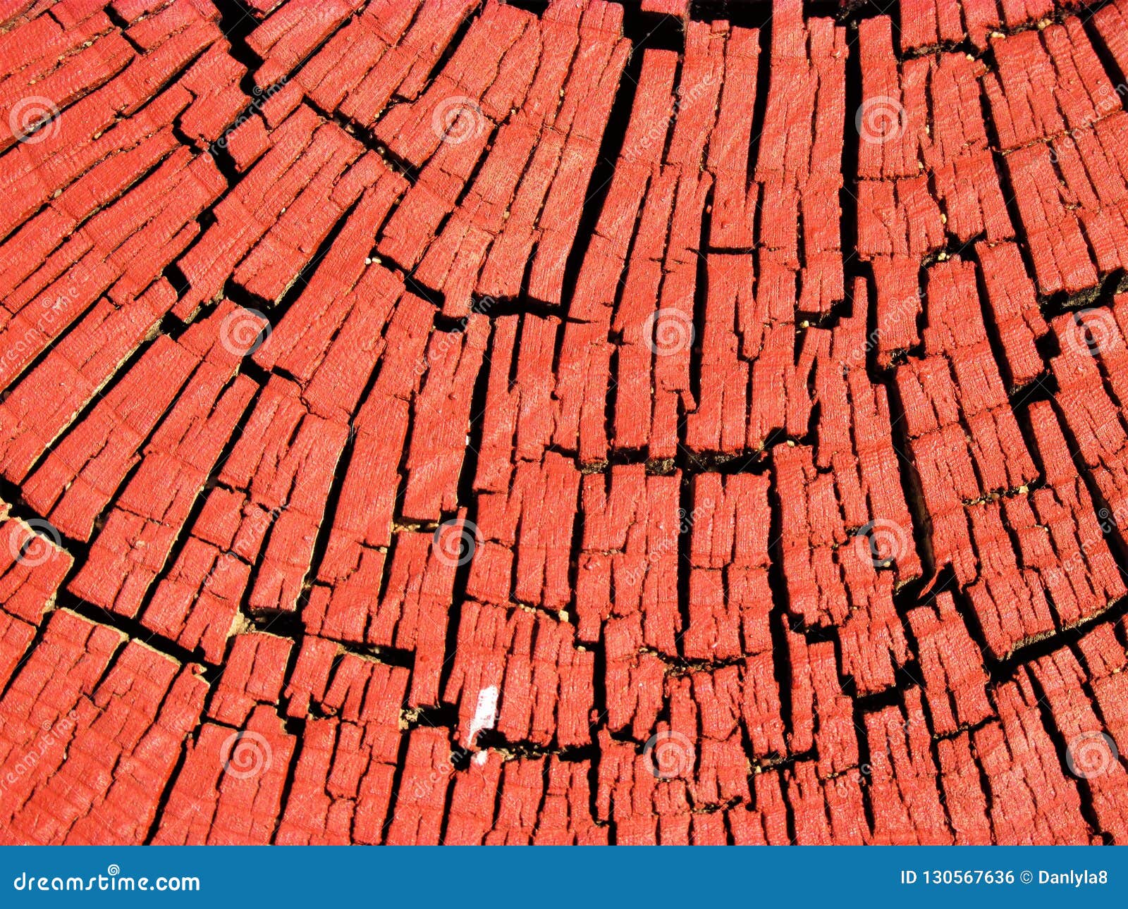 Organic Texture. Abstract Wooden Texture. Red Tree Texture. Rustic ...