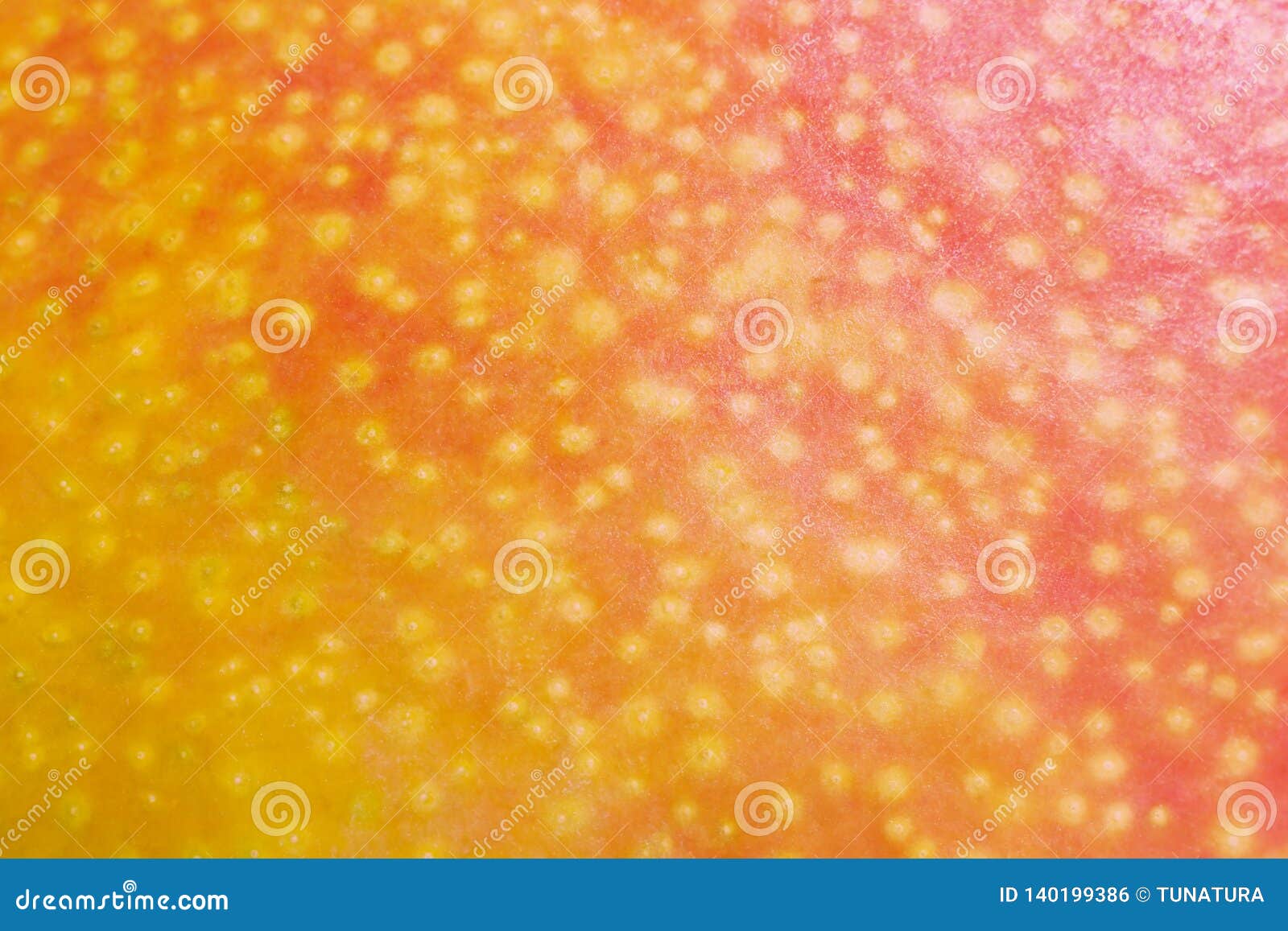Organic Texture of Mango Fruit Stock Photo - Image of farm, fresh ...