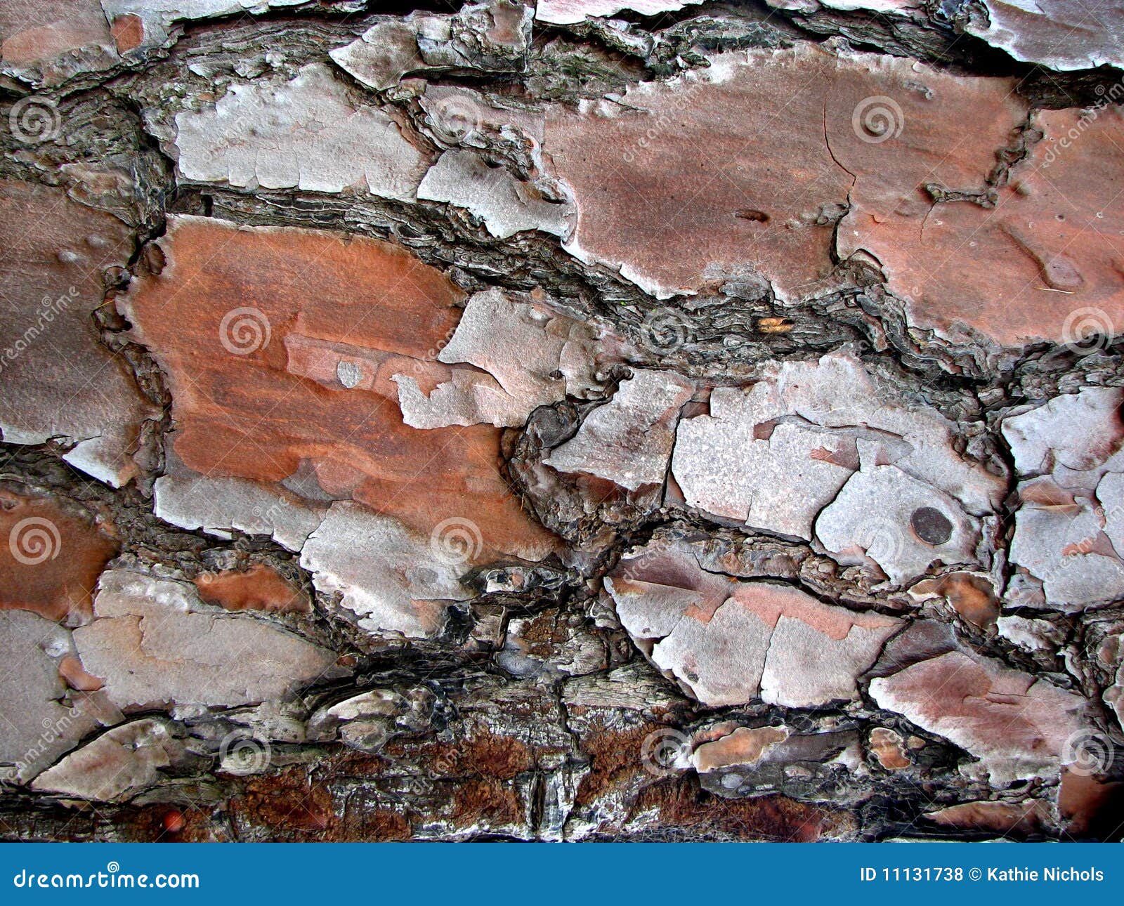 Organic Textured Background 5 Stock Photo - Image of detail, background ...