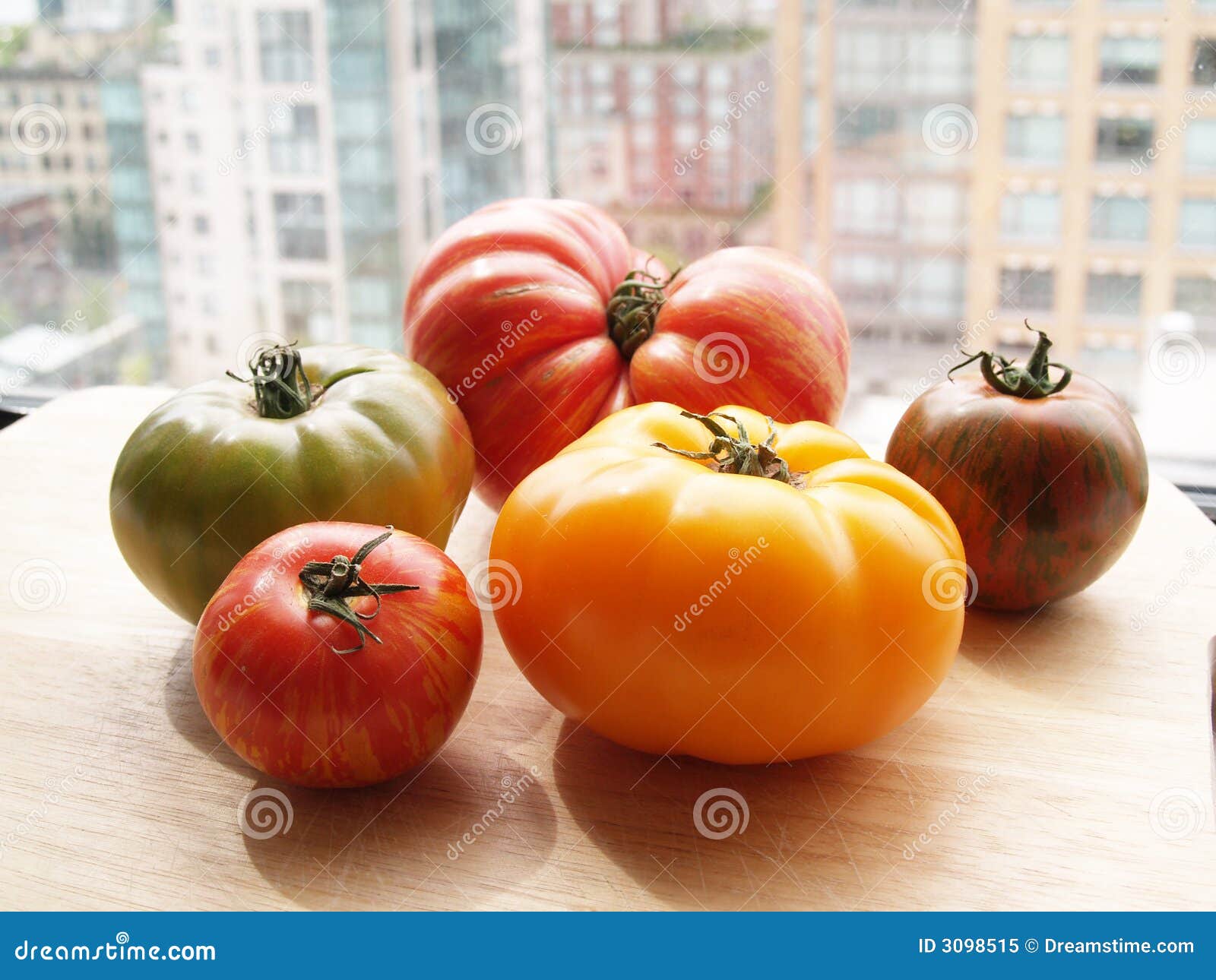 Organic tomatoes stock image. Image of ripe, grow, garden - 3098515