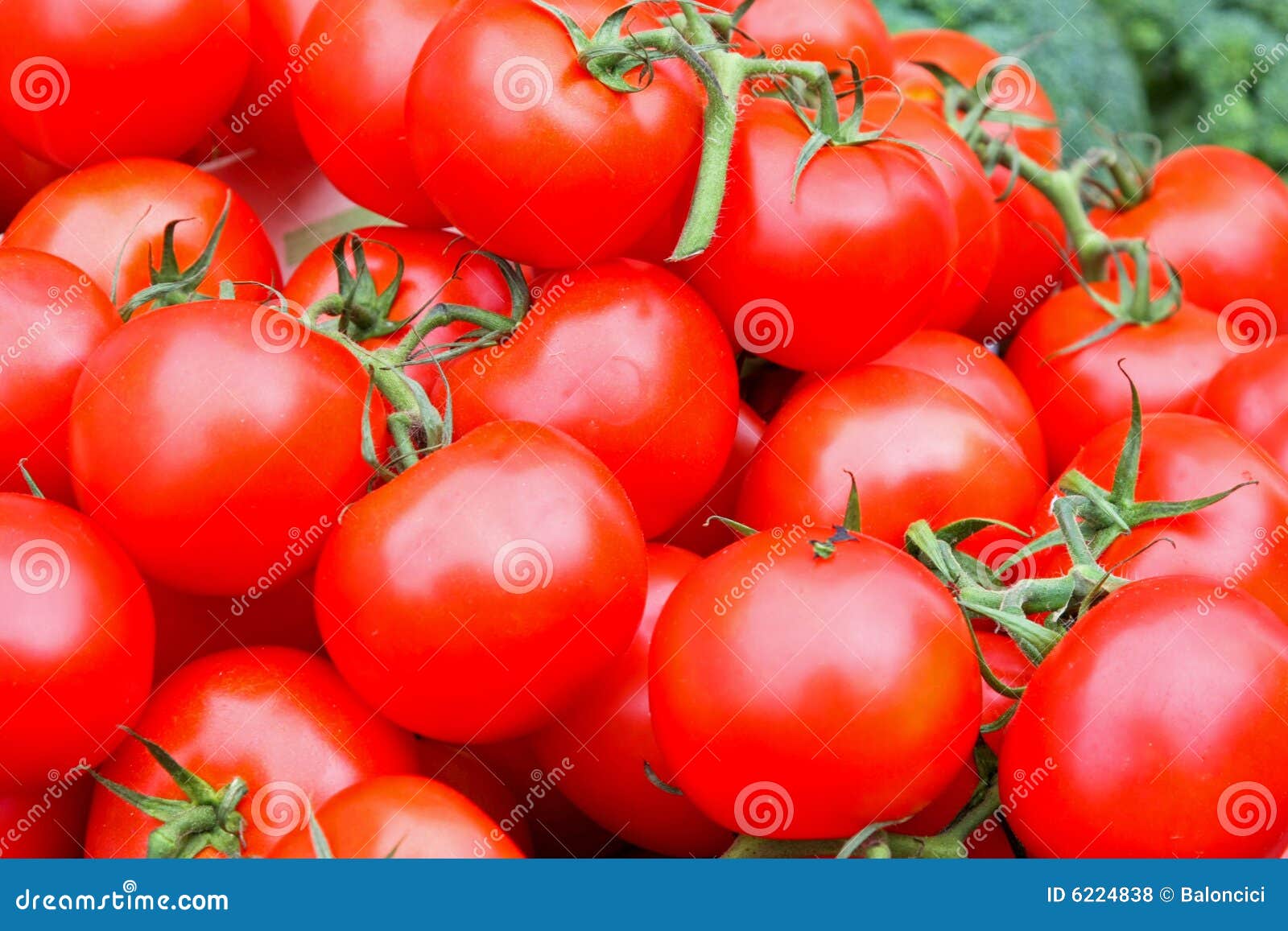 Organic tomatoes stock photo. Image of nutrition, natural - 6224838