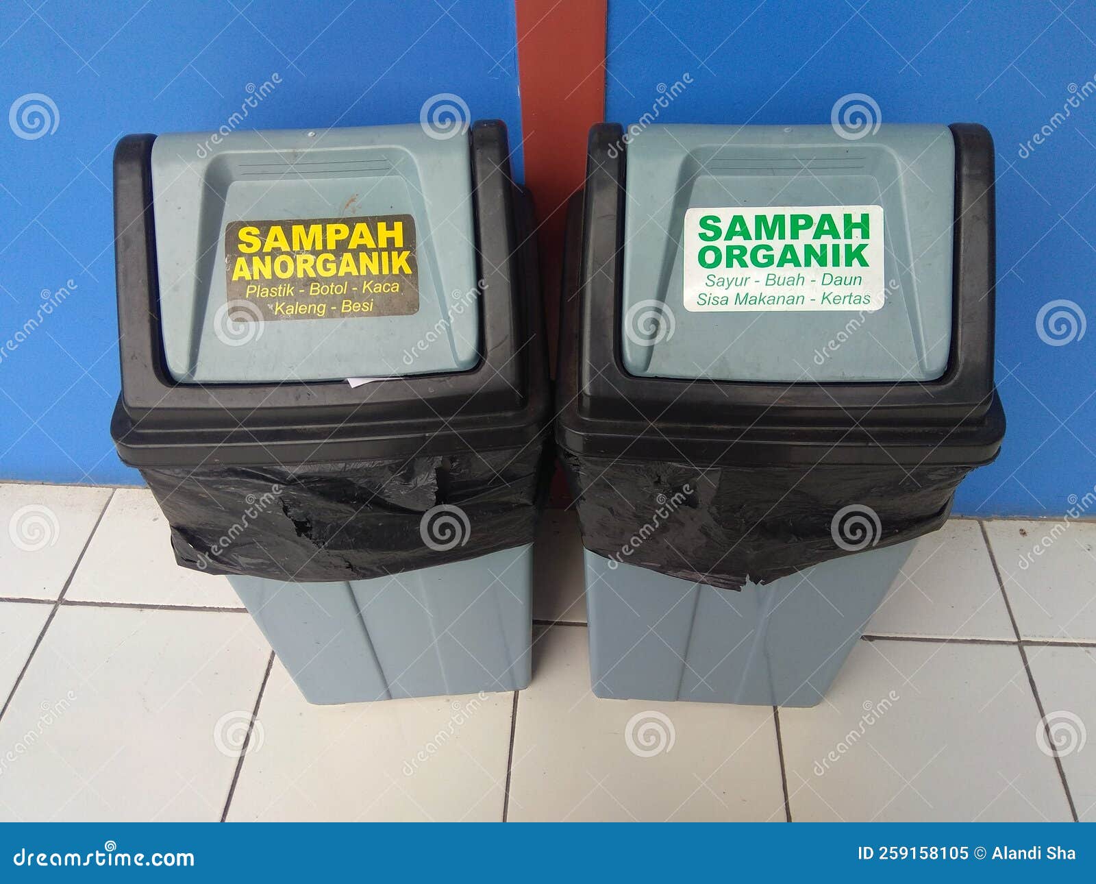 Organic and an-organic Trashcan Used in School Stock Image - Image of ...