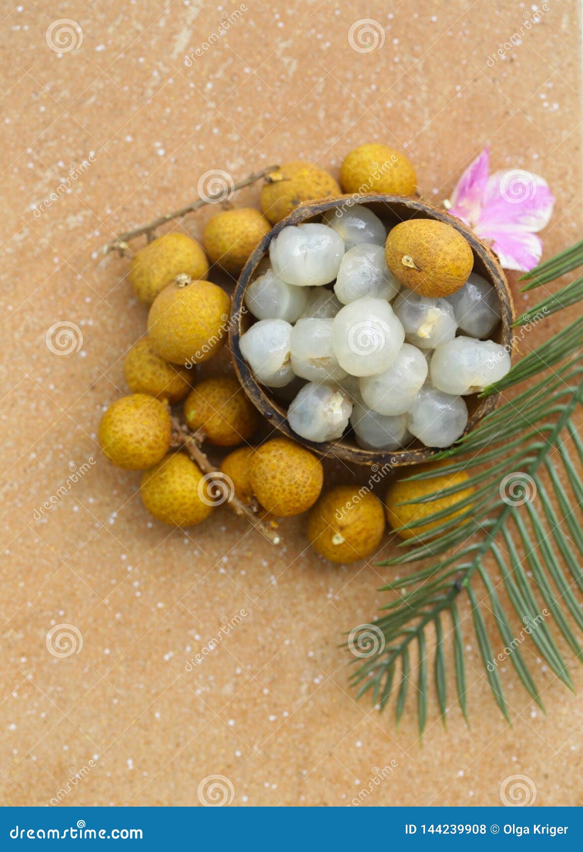 Tropical fruit litchi stock photo. Image of lychee, berry - 144239908