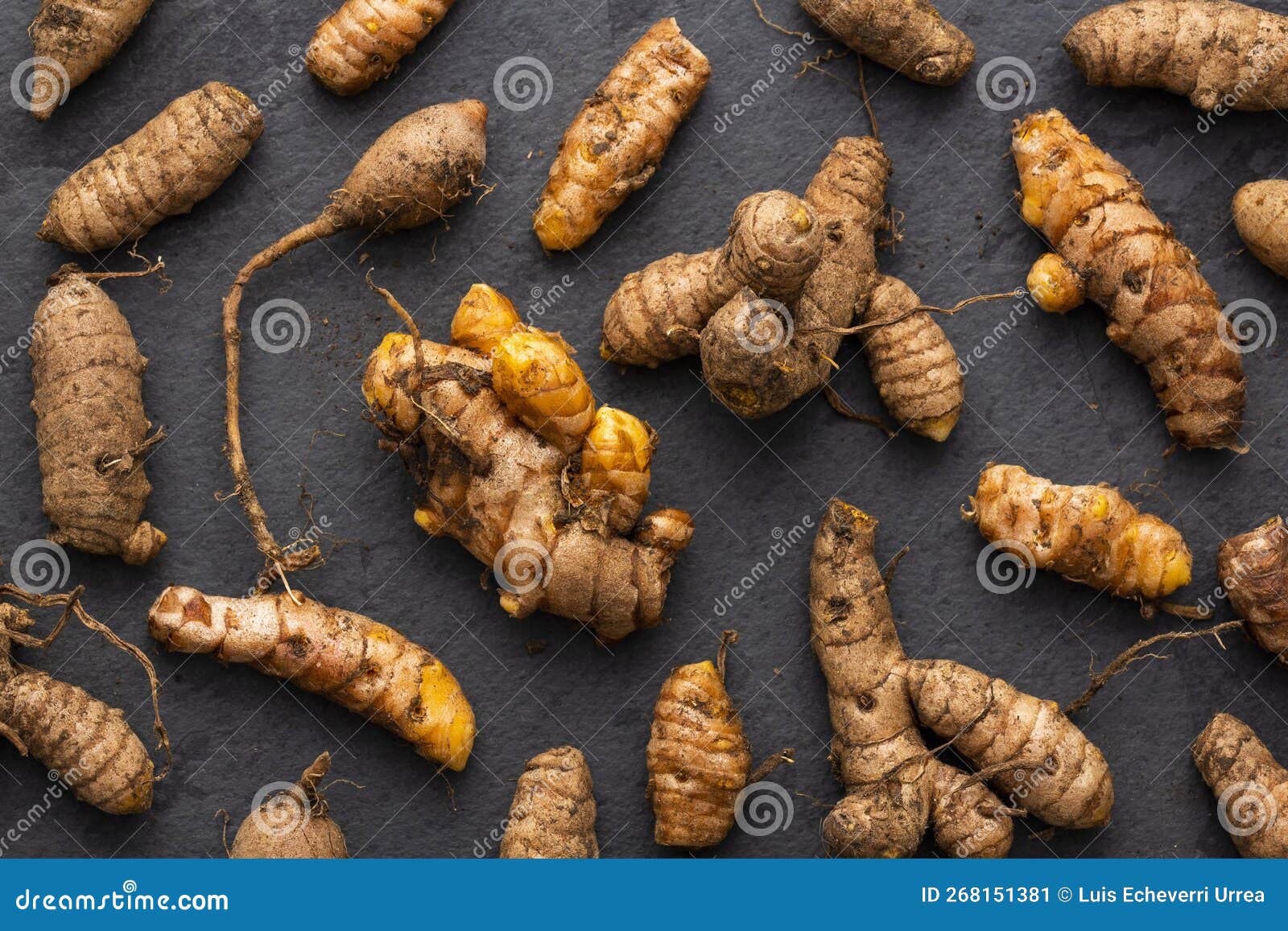 Organic Turmeric Spice Roots - Curcuma Longa Stock Image - Image of ...