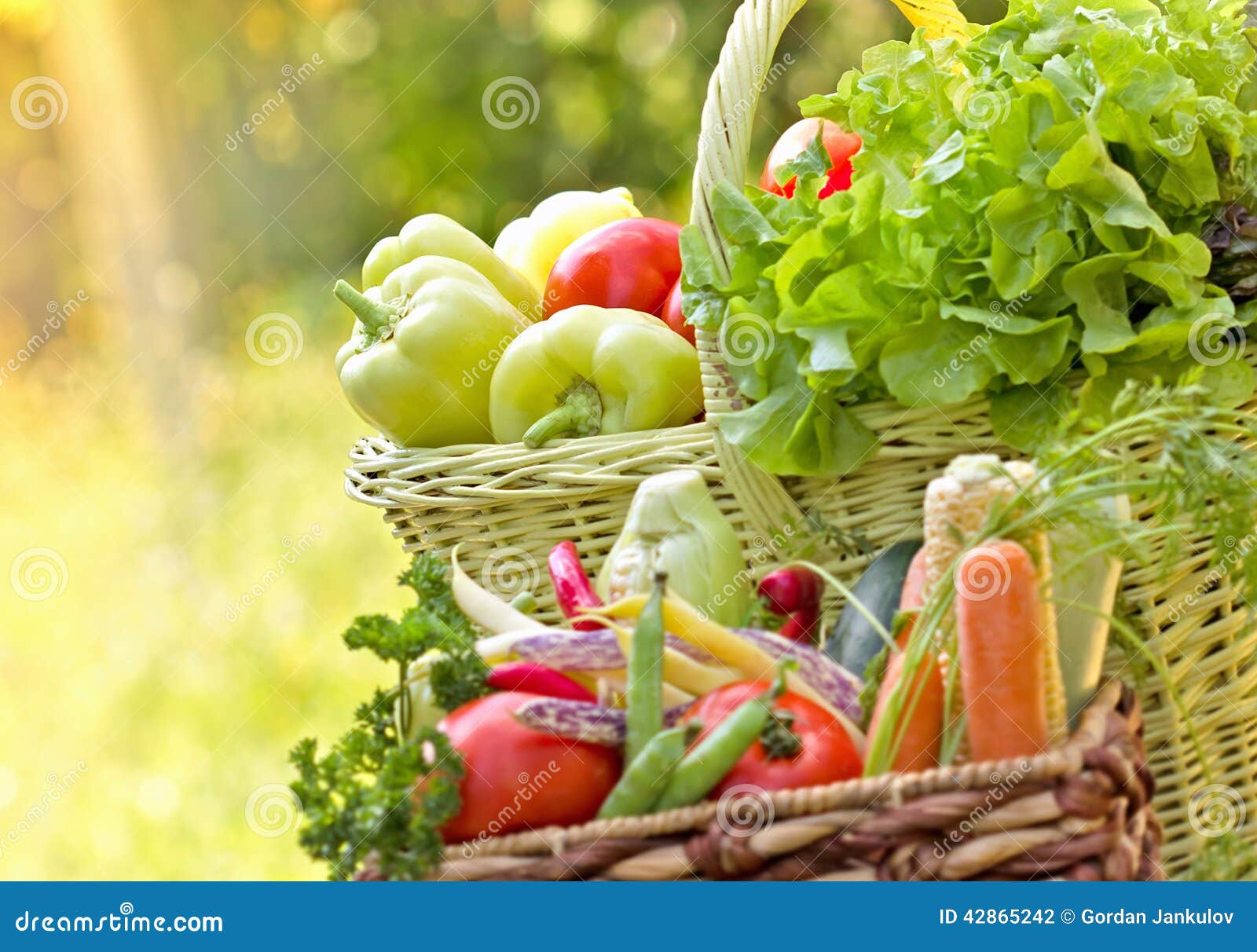 Organic vegetable stock photo. Image of antioxidant, cucumbers - 42865242