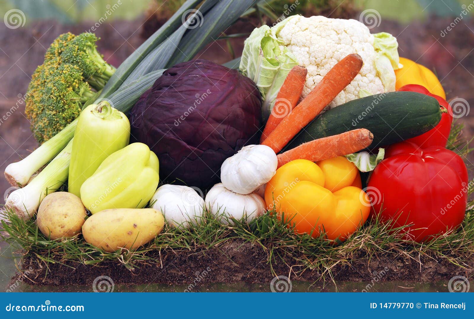Organic vegetables stock photo. Image of vegetarian, healthy - 14779770