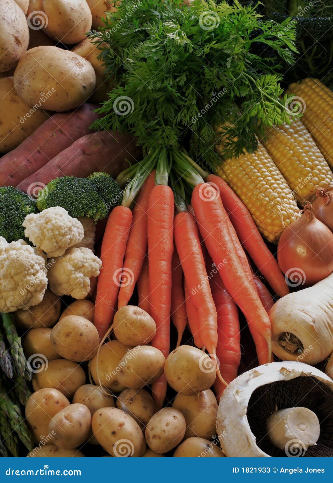 Organic vegetables stock image. Image of vegetable, cabbage - 1821933