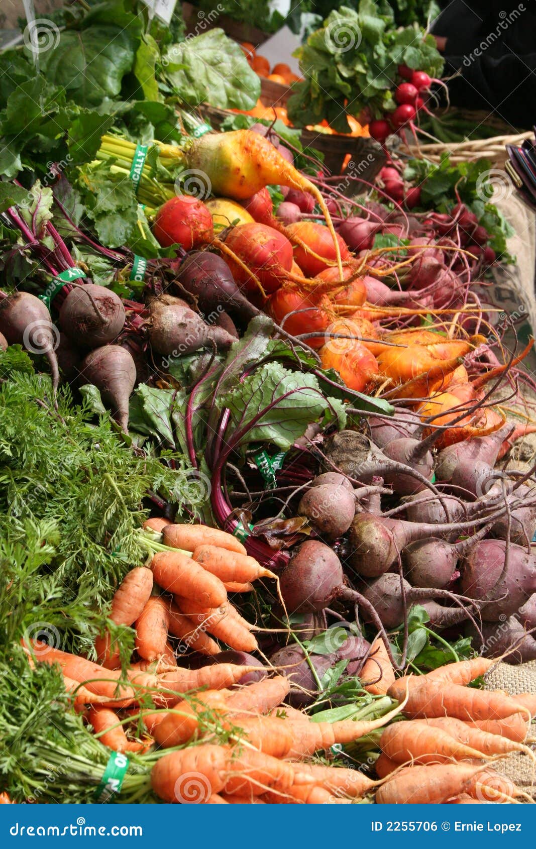 Organic veggies stock photo. Image of herbaceous, garden - 2255706