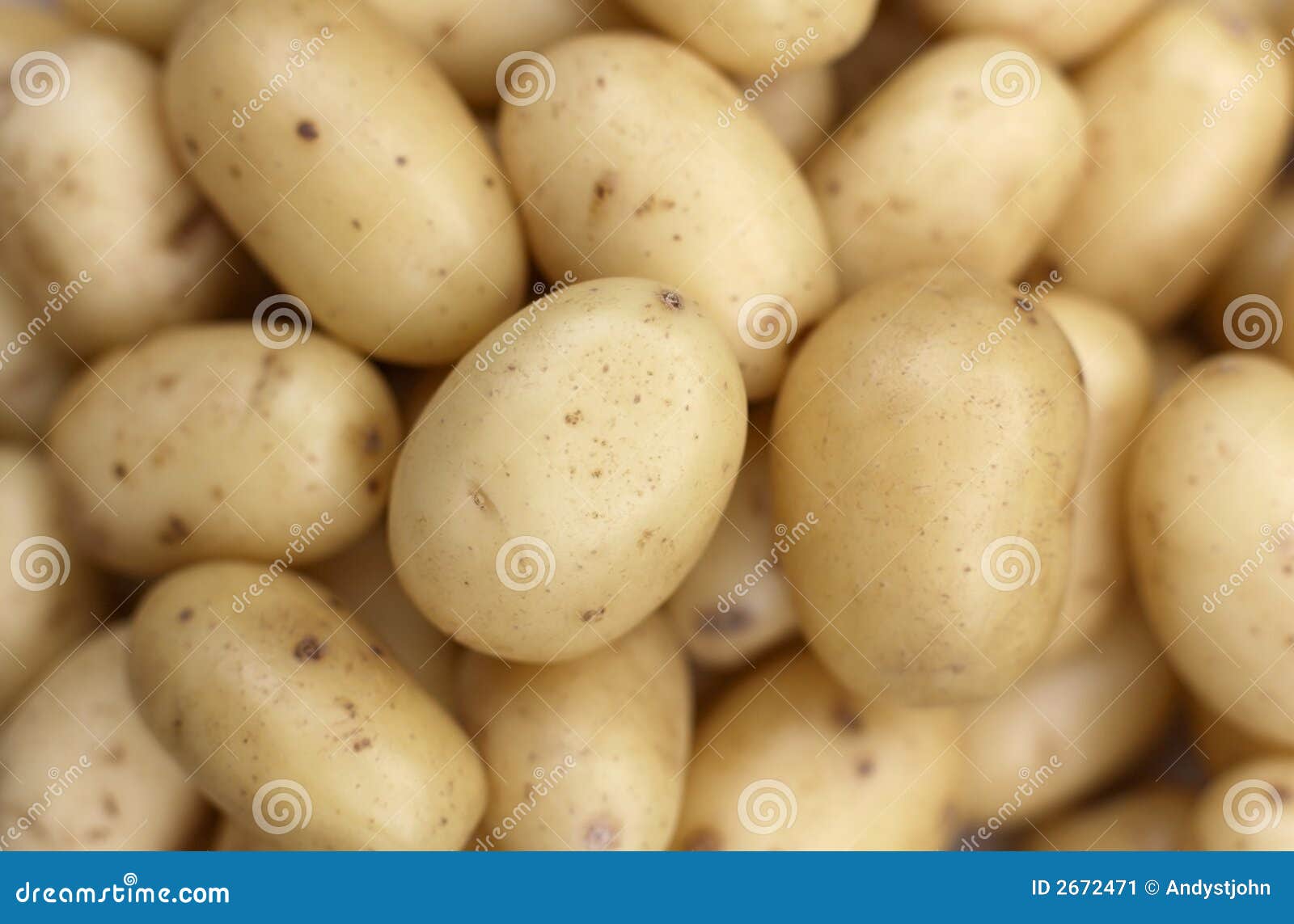 Organic Vivaldi New Potatoes Stock Image - Image of fruit, vivaldi: 2672471