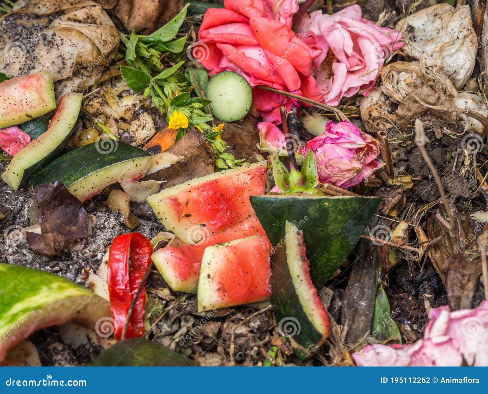 Organic Waste in the Garden Stock Photo - Image of waste, composting ...