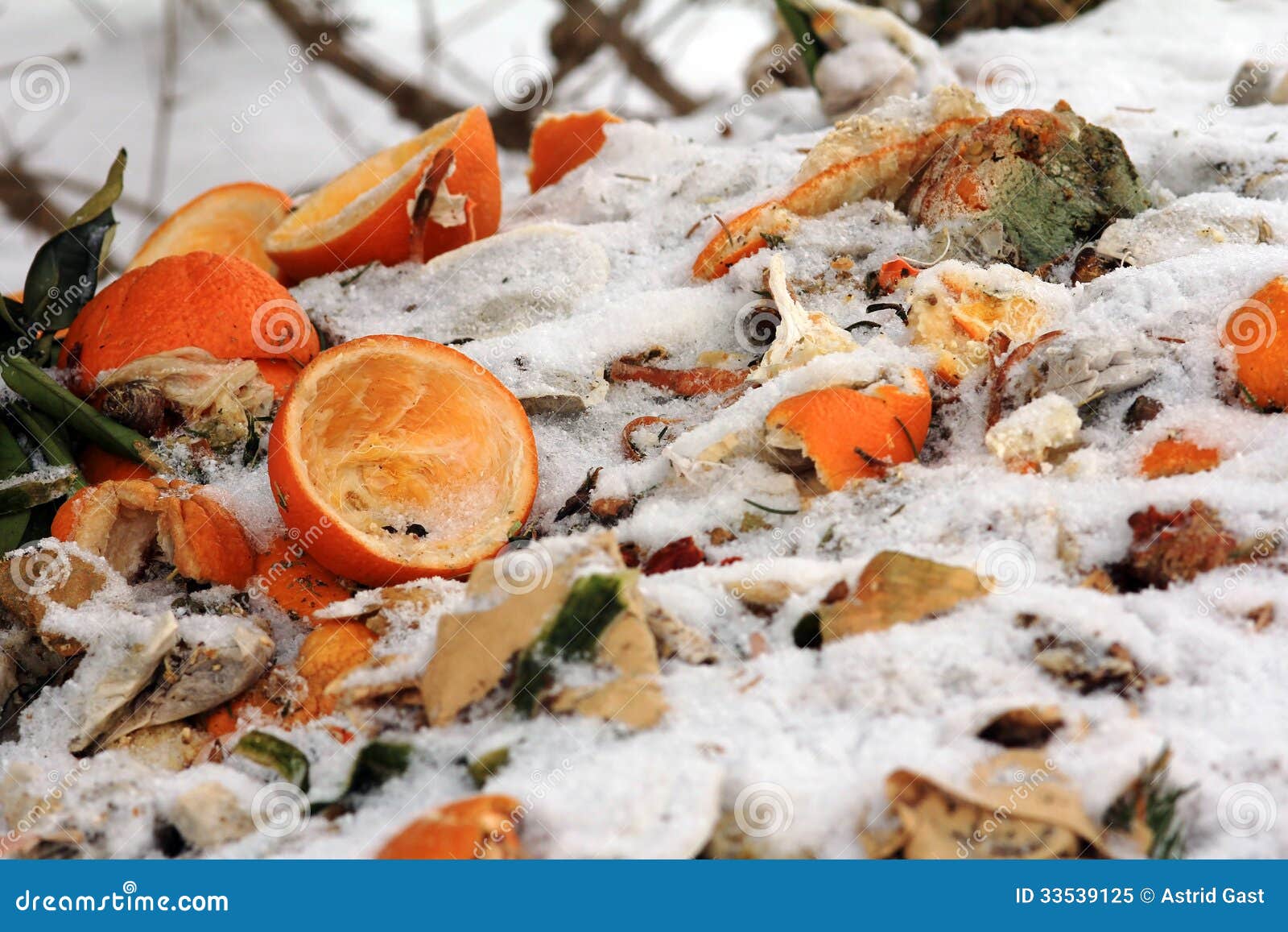 Organic waste stock image. Image of heap, food, plague - 33539125