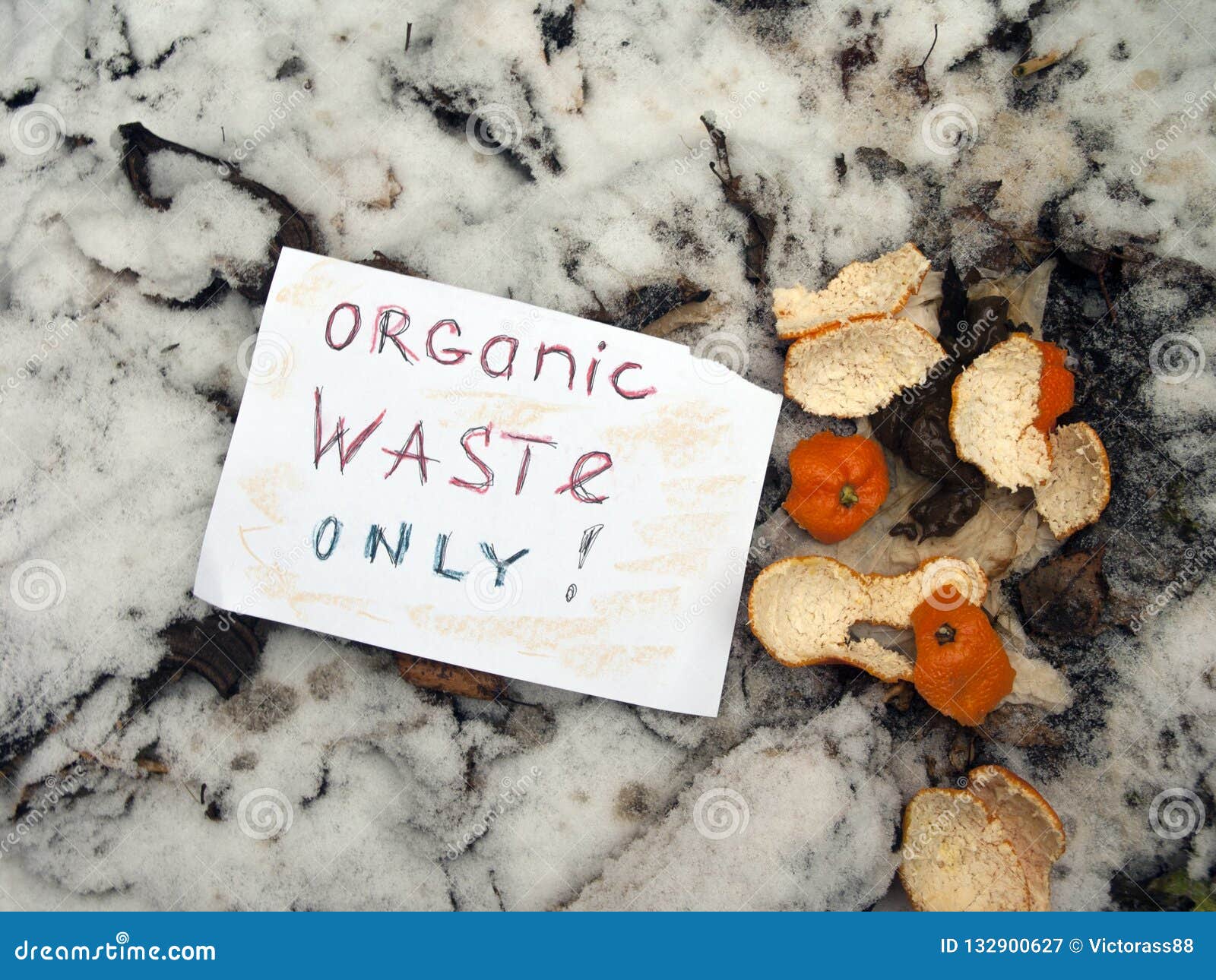 Organic waste only stock image. Image of paper, snow - 132900627