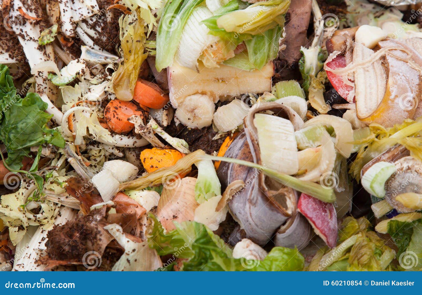 Organic waste stock photo. Image of waste, disposal, recycling - 60210854