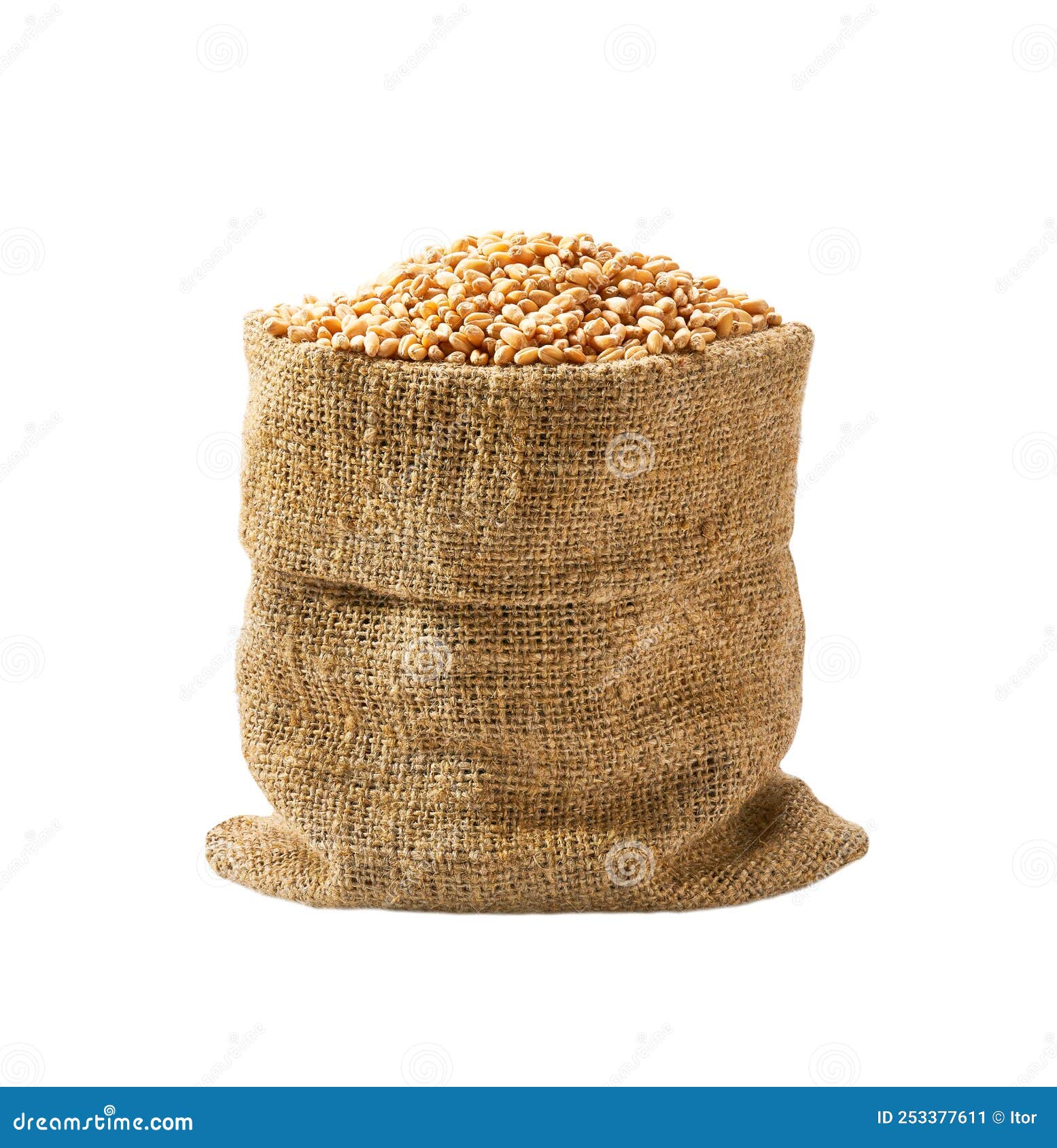 Organic Wheat in Sack Isolated on White Background Stock Image - Image ...