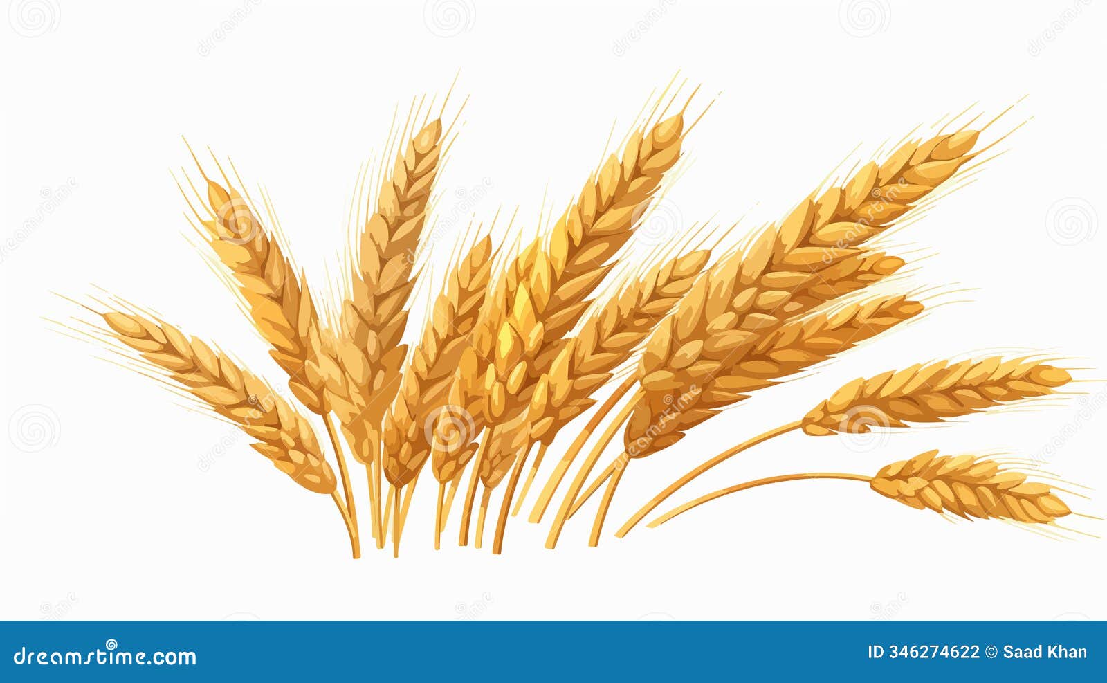 Organic Wheat Spike Vector Illustration Cartoon Style Stock ...