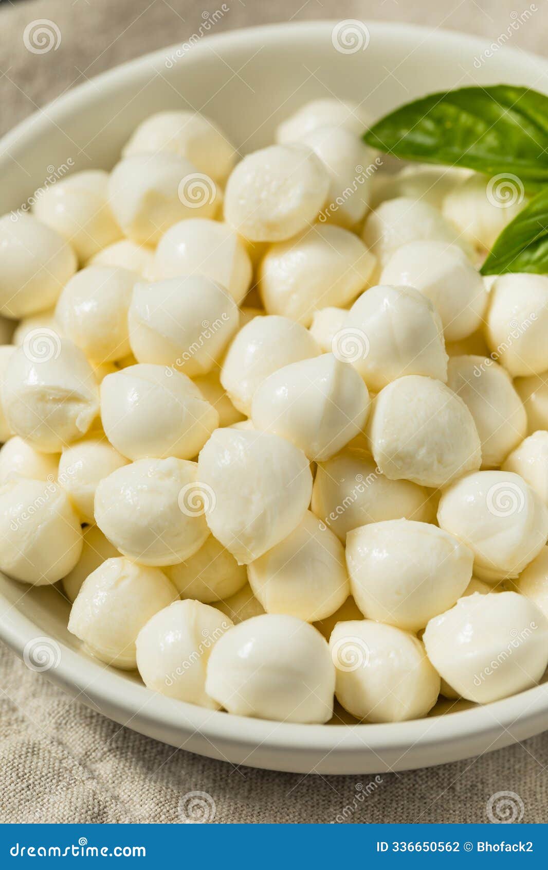 Organic White Mozzarella Pearls Cheese Stock Photo - Image of milk ...