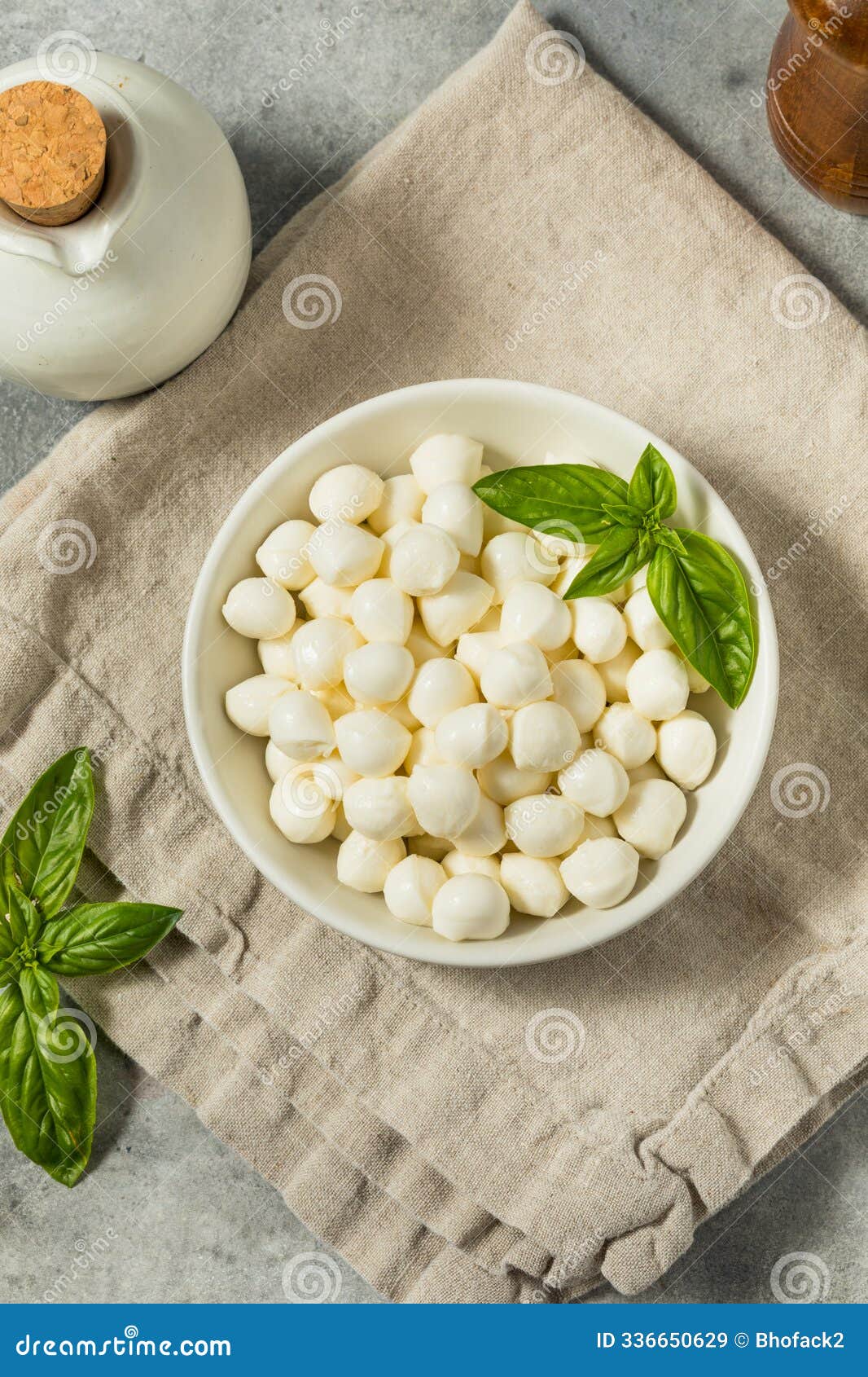 Organic White Mozzarella Pearls Cheese Stock Image - Image of ...