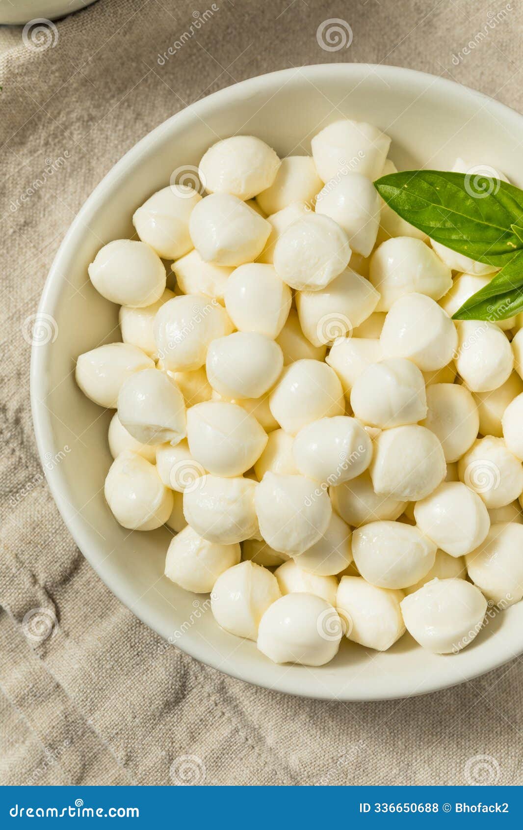 Organic White Mozzarella Pearls Cheese Stock Photo - Image of healthy ...
