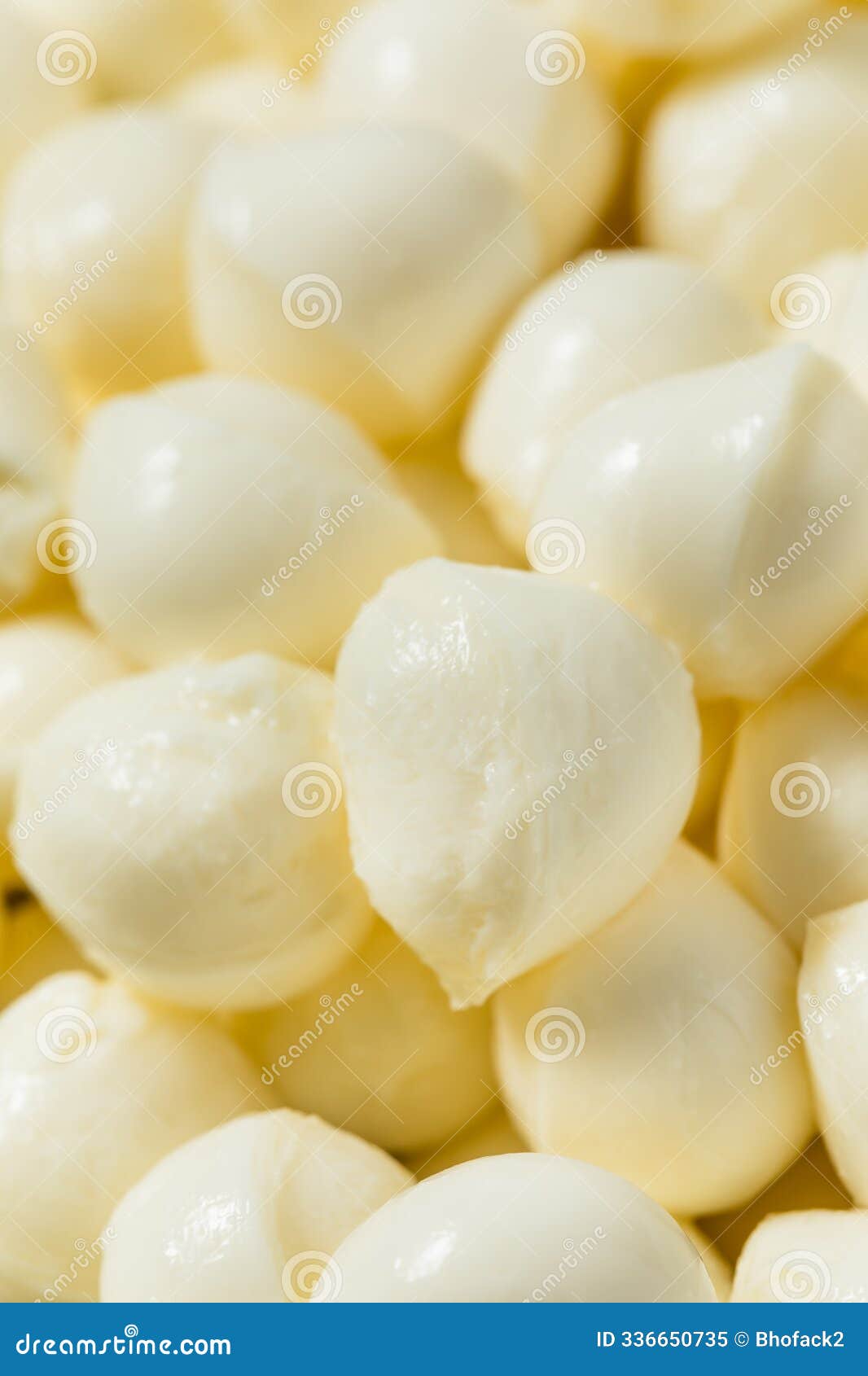 Organic White Mozzarella Pearls Cheese Stock Image - Image of product ...