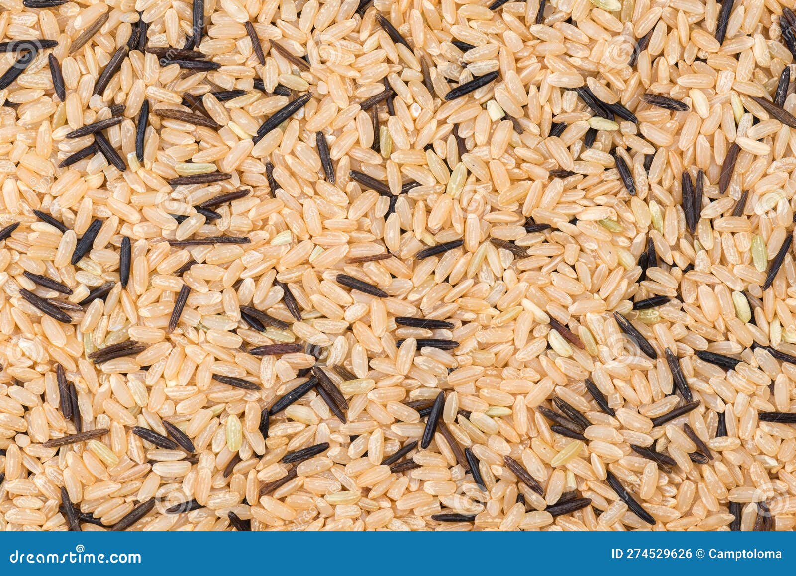 Organic Whole Grain Wild Rice Background Stock Photo - Image of seed ...