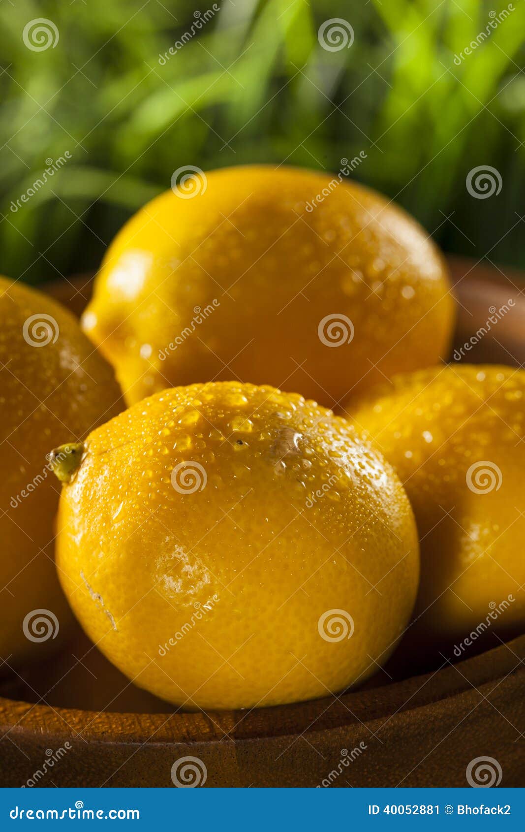 Organic Yellow Citrus Lemons Stock Image - Image of fruit, slice: 40052881
