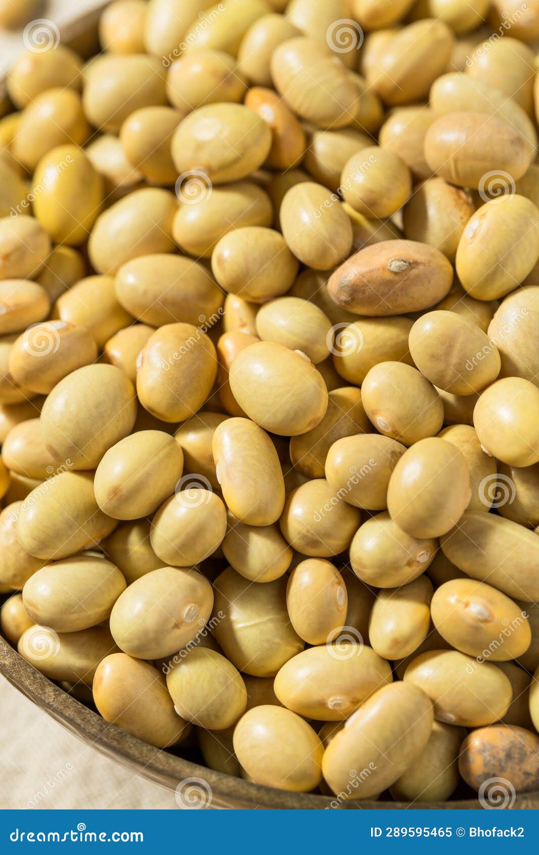 Organic Yellow Mayacoba Beans Stock Image - Image of food, seed: 289595465