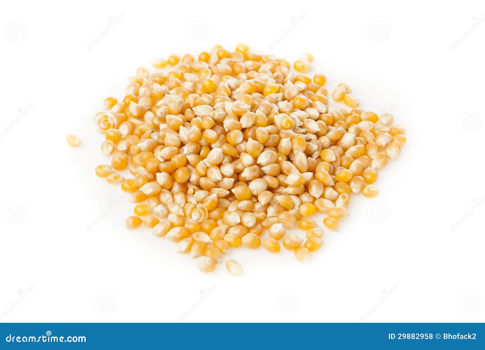 Organic Raw Yellow Corn Kernels Stock Photo - Image of golden, food ...