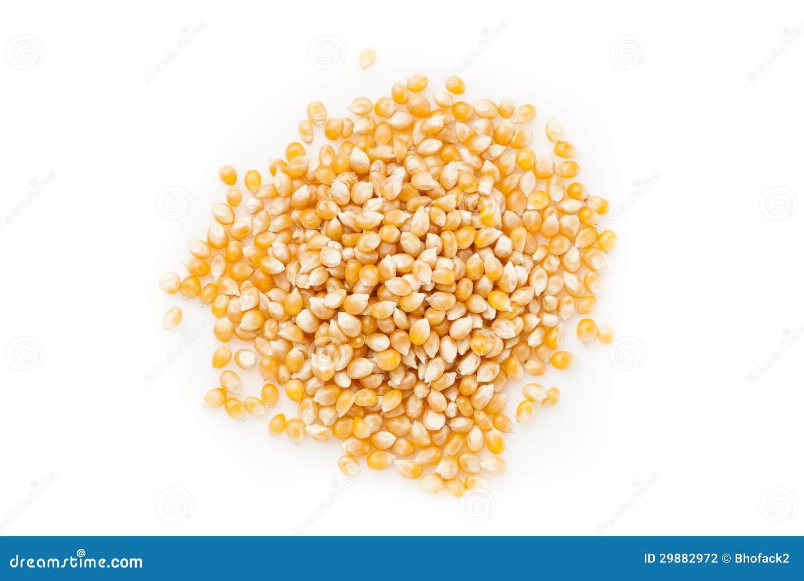 Organic Raw Yellow Corn Kernels Stock Photo - Image of grain, sweetcorn ...