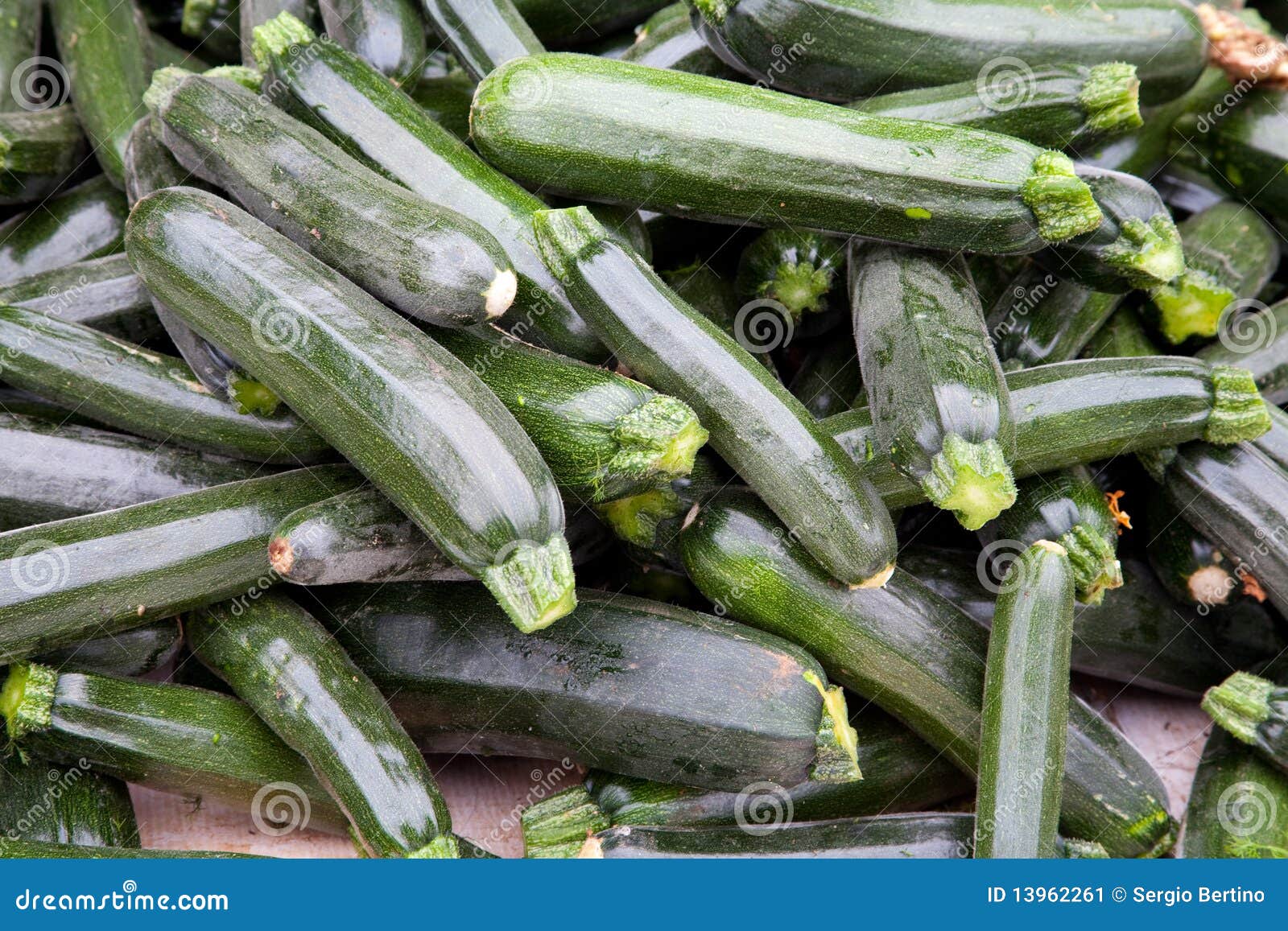Organic Zucchini stock image. Image of healthy, ingredient - 13962261