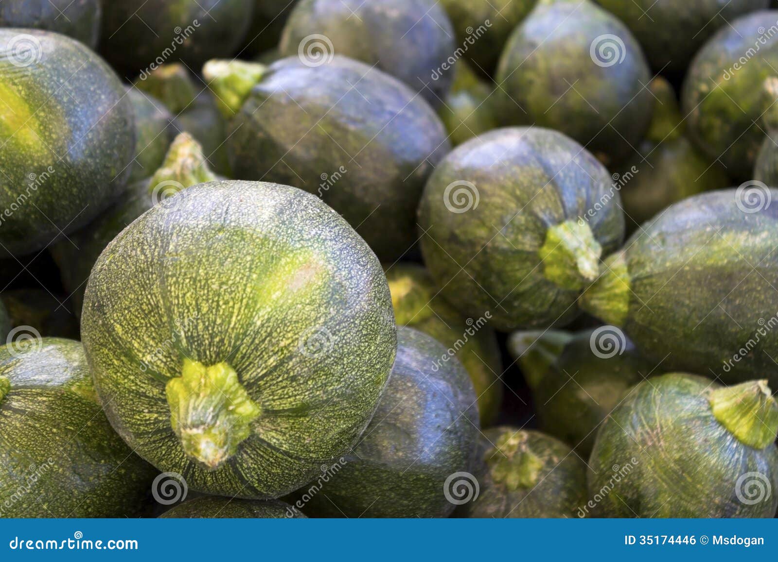 Organic zucchini stock photo. Image of stall, shiny, zucchini - 35174446