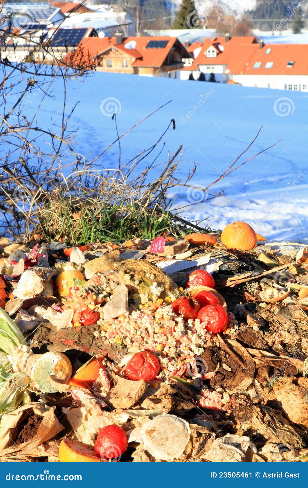 Organisch afval stock afbeelding. Image of schimmel, hoop - 23505461