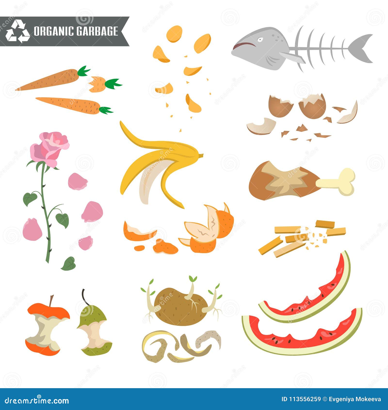 Organisch Afval Op Witte Achtergrond Vector Illustratie - Illustration ...