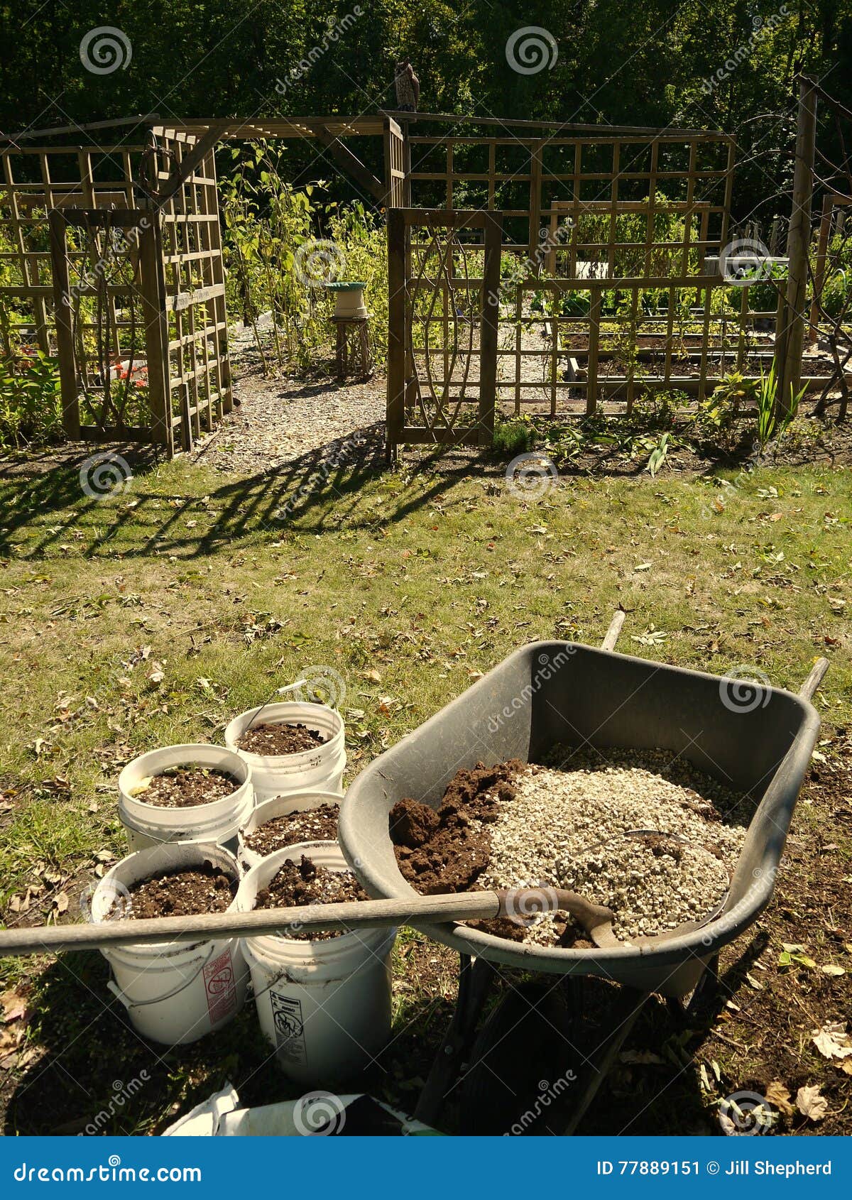 Organische Moestuin: Het Mengen Van Grondkruiwagen Stock Afbeelding ...