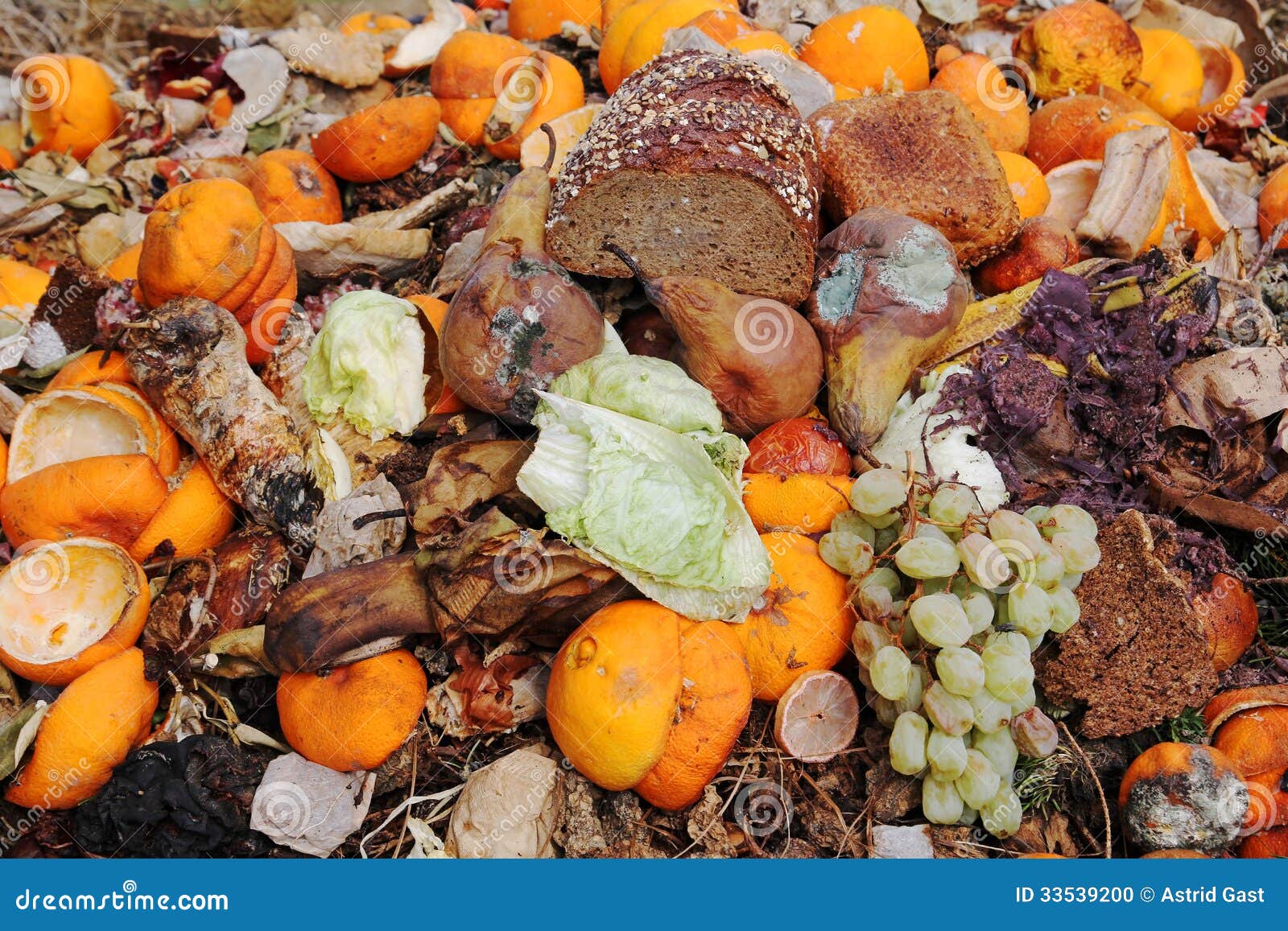 Organisk avfalls arkivfoto. Bild av fortsatt, form, industri - 33539200