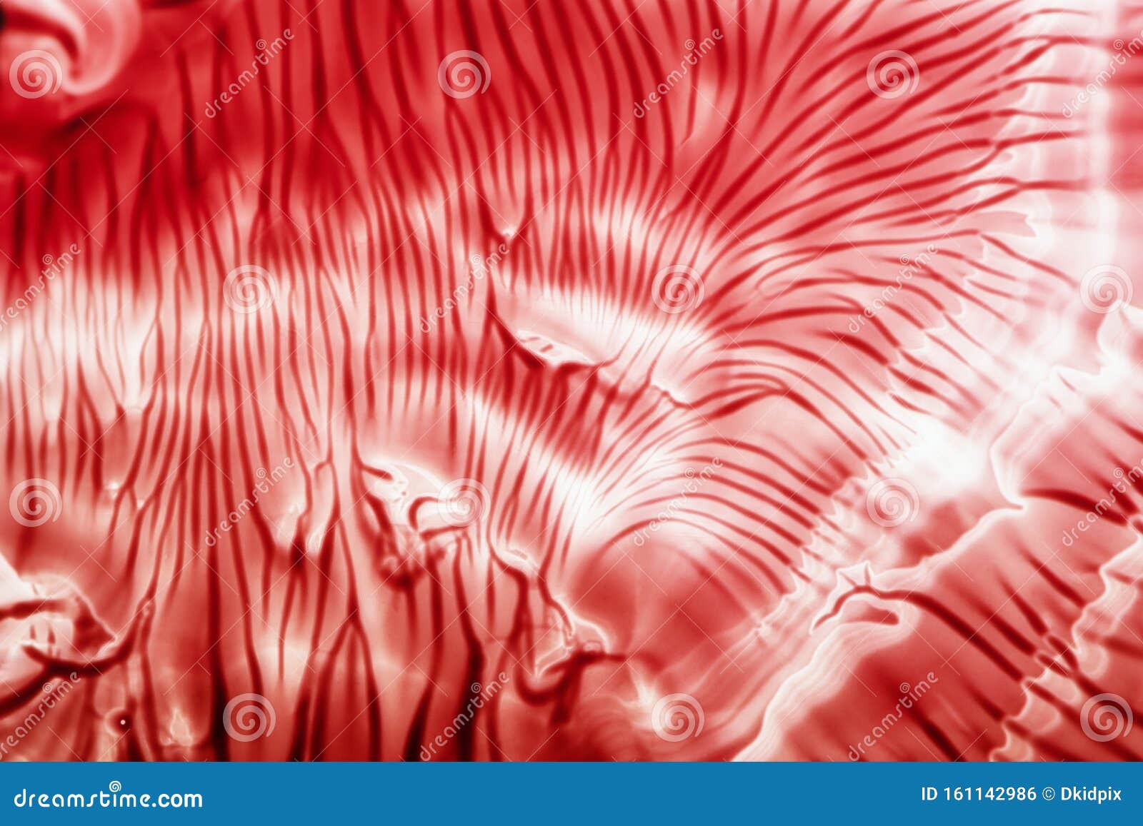 Organism in red and white stock photo. Image of molecule - 161142986