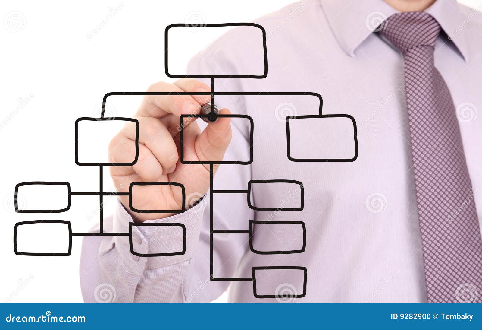 Organization chart stock photo. Image of business, education - 9282900