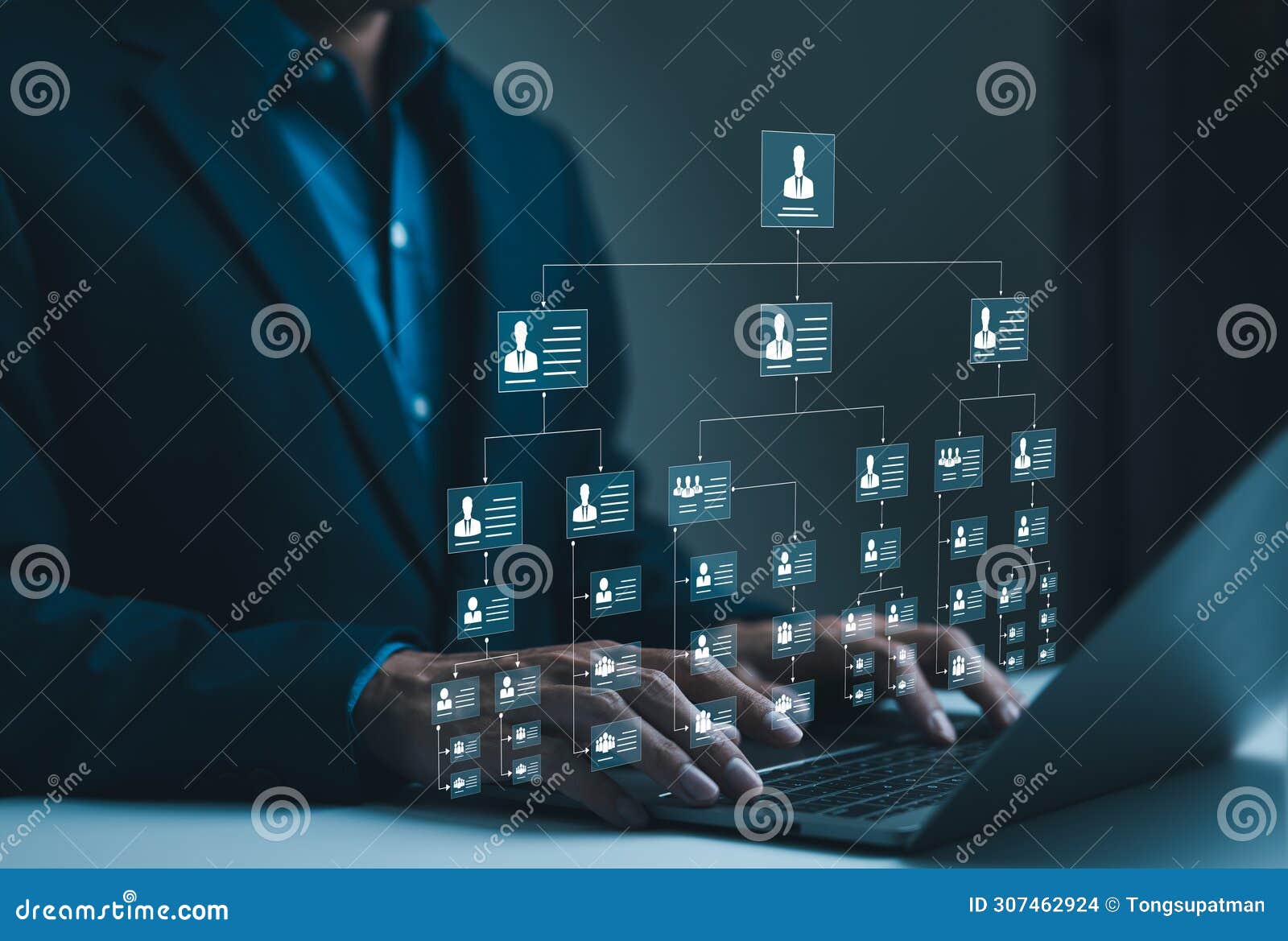 Organization Chart and Hierarchy Structure Employees in the Company ...