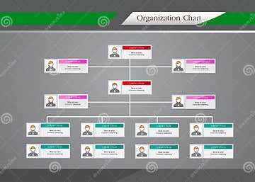 Organization Chart Infographics Stock Vector - Illustration of ...