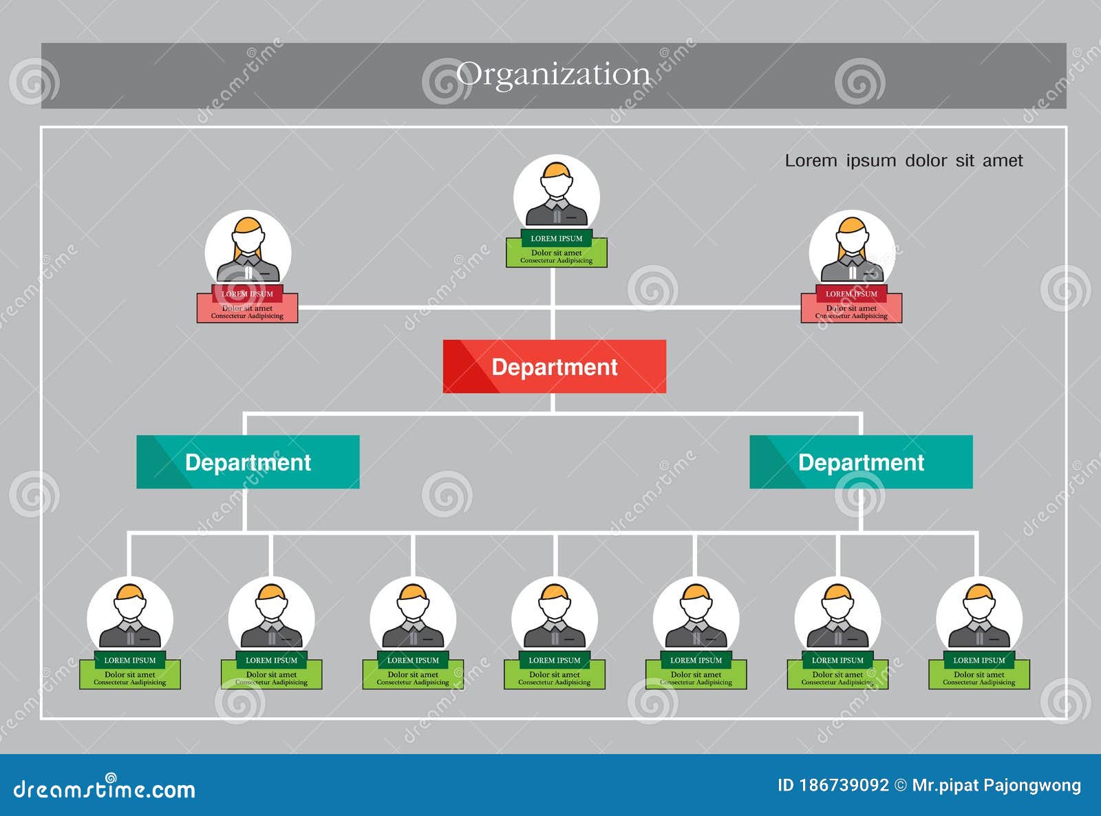 Organization Chart Infographics Stock Vector - Illustration of people ...