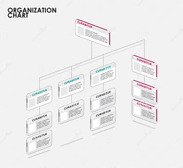 Organization Chart Infographics with Tree, Diagram Flow. Vector Stock ...