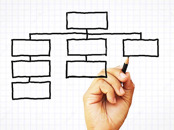 Organization drawing stock image. Image of organization - 26743579
