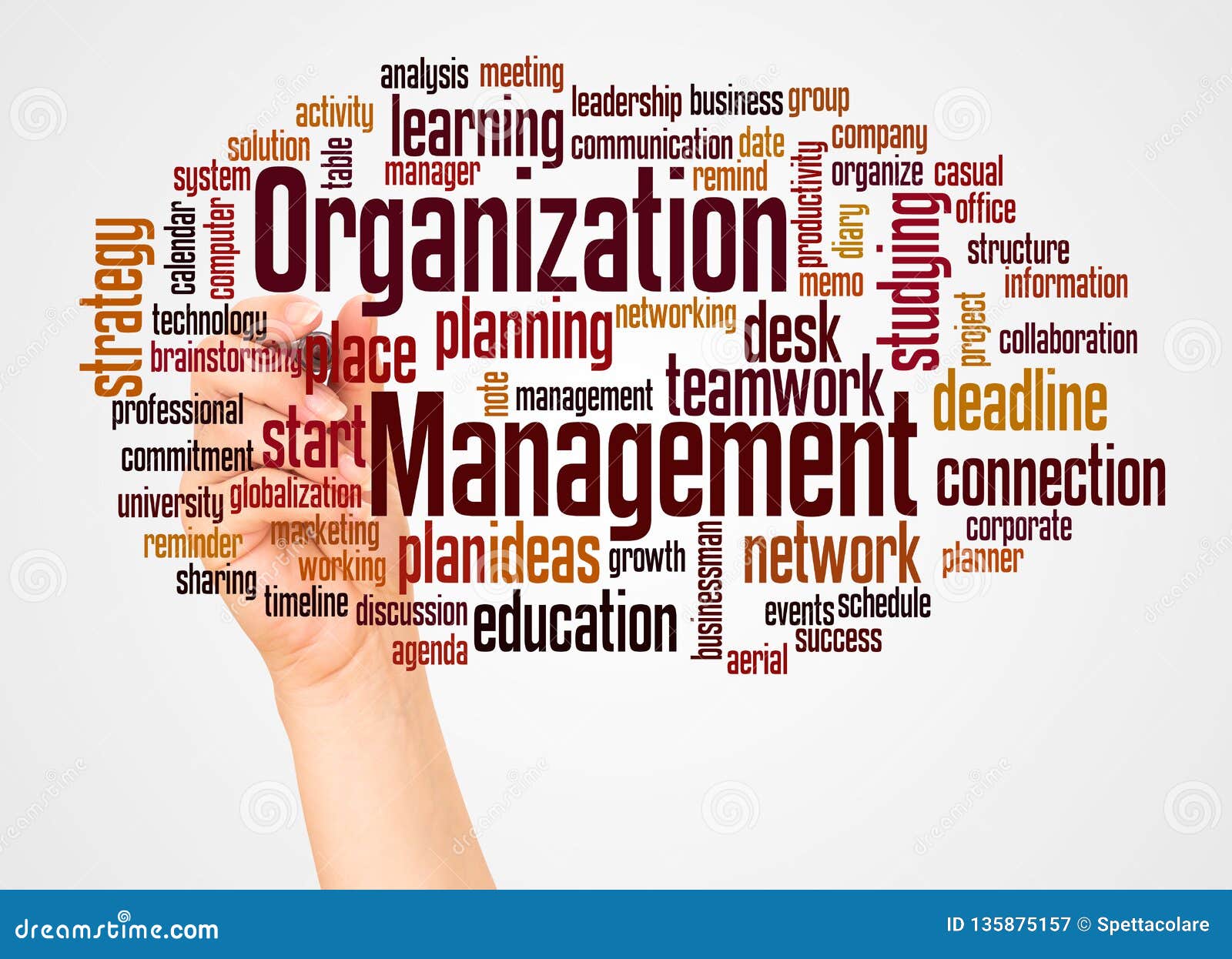 Organization Management Word Cloud and Hand with Marker Concept Stock ...